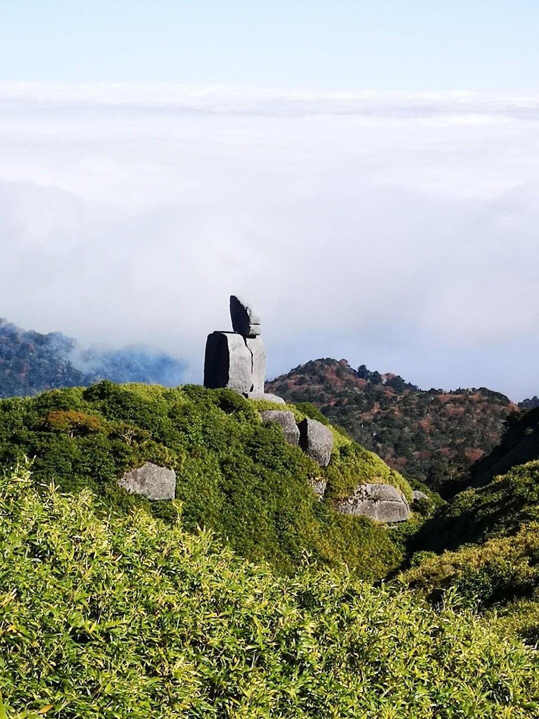 宮之浦岳☀ラピュタのロボット兵ここに / senさんの屋久島・宮之浦岳の活動日記 | YAMAP / ヤマップ
