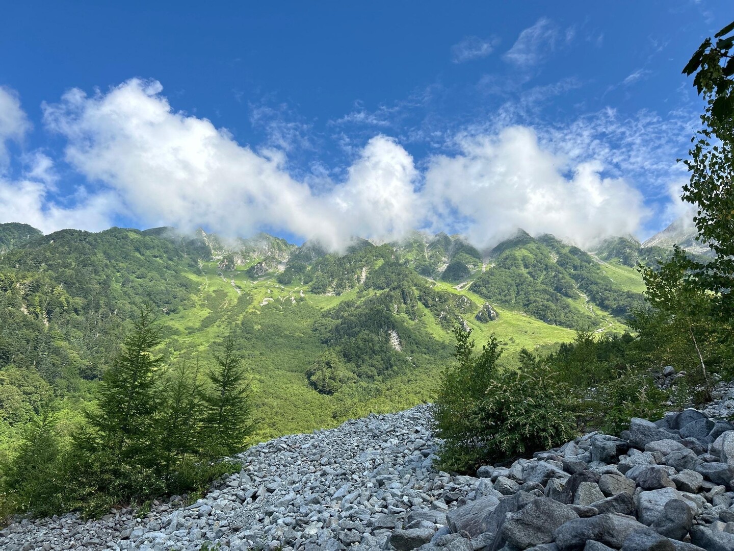 上高地 熊に遭遇 2024-08-13 / KEIさんの槍ヶ岳・穂高岳・上高地の活動データ | YAMAP / ヤマップ