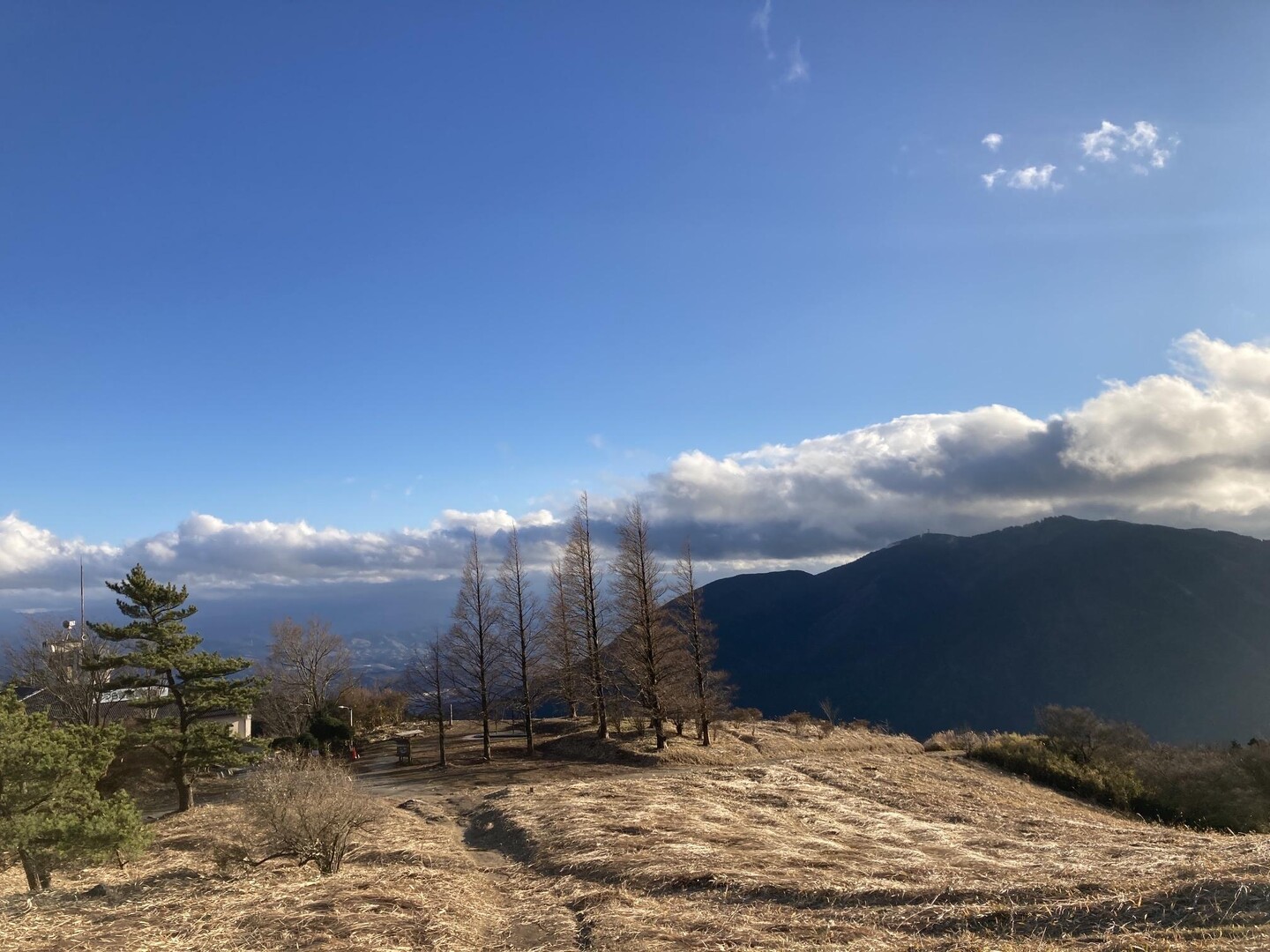 大和葛城山🐶 / bu-koさんの金剛山・二上山・大和葛城山の活動データ | YAMAP / ヤマップ
