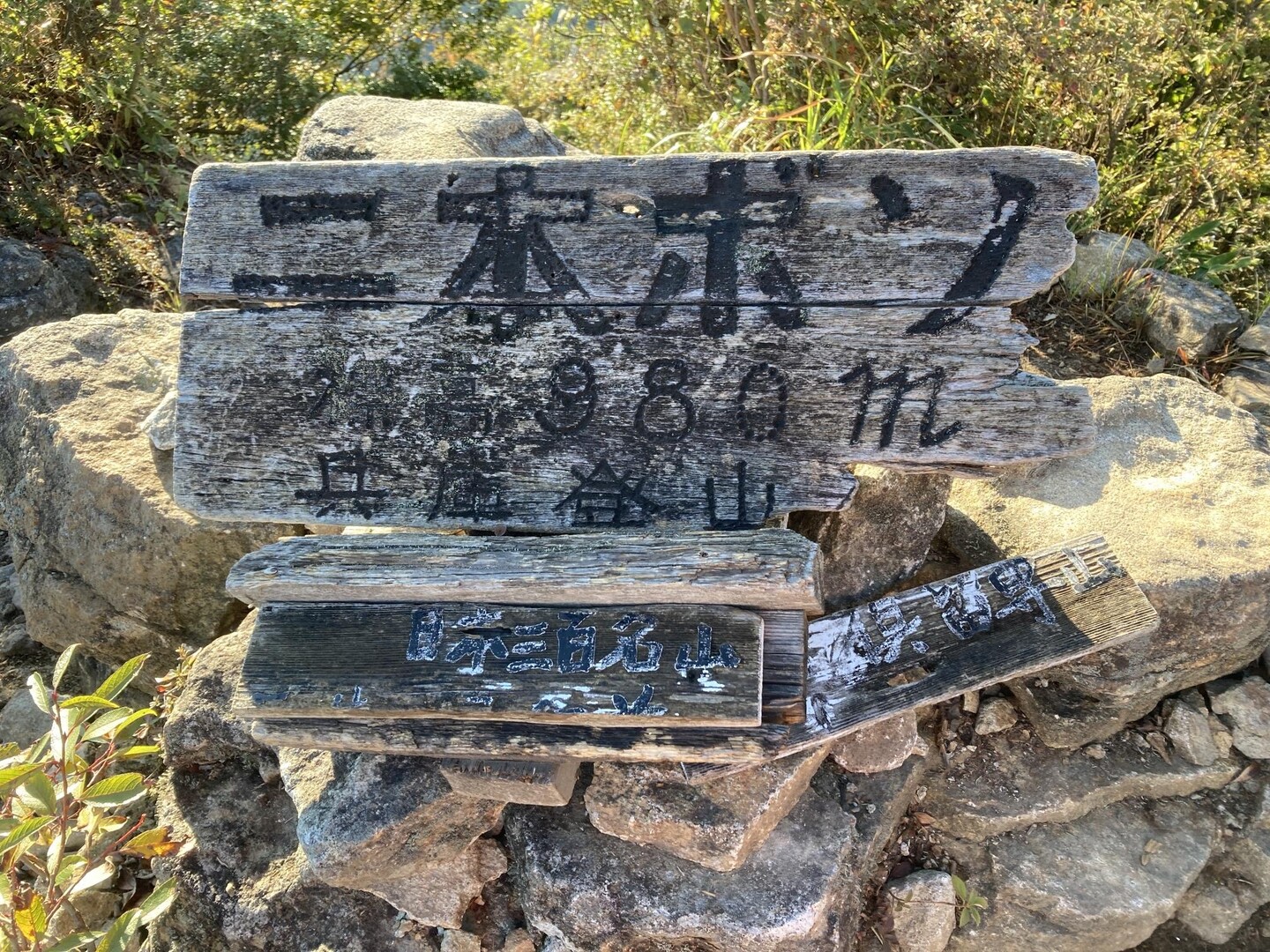 moppiさんの投稿したフィールドメモ | YAMAP / ヤマップ