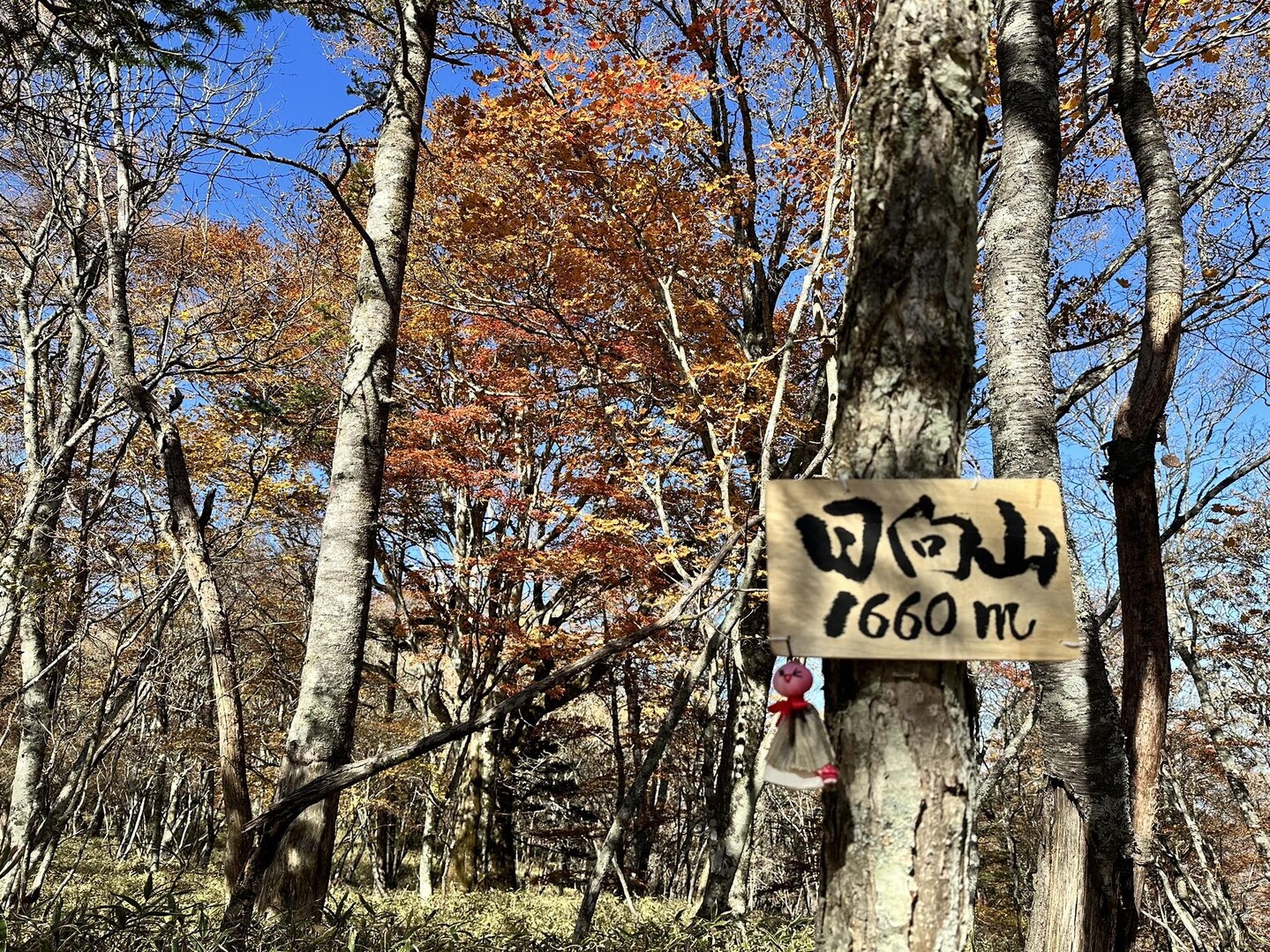 手ぬぐいハント①日向山 / WTさんの雨乞岳の活動データ | YAMAP / ヤマップ