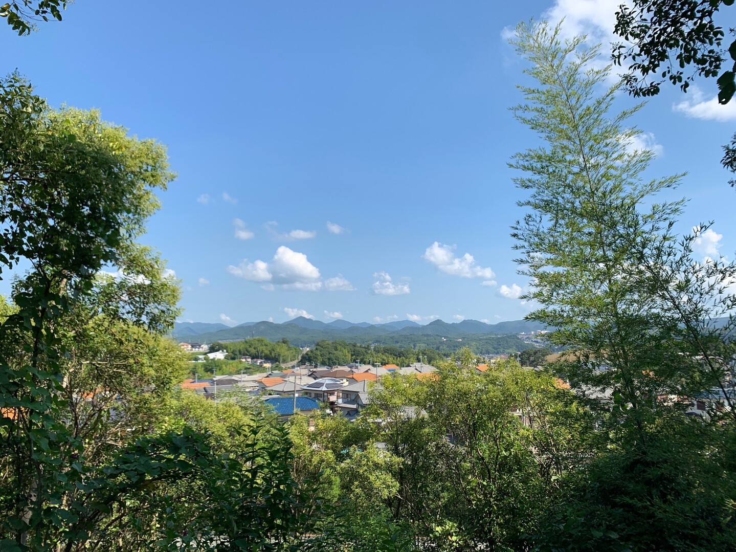 北摂里山博物館ブイブイの森ウォーキング-2020-08-30 / KOOさんのウォーキングの活動日記 | YAMAP / ヤマップ