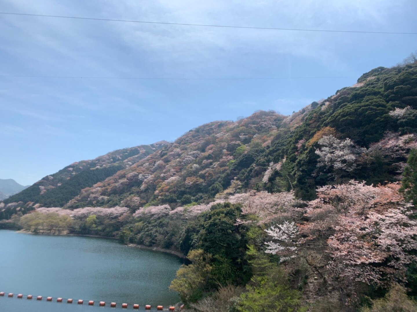 「国生み神話」の淡路島・諭鶴羽山へ。 / BENさんの淡路島の活動データ | YAMAP / ヤマップ