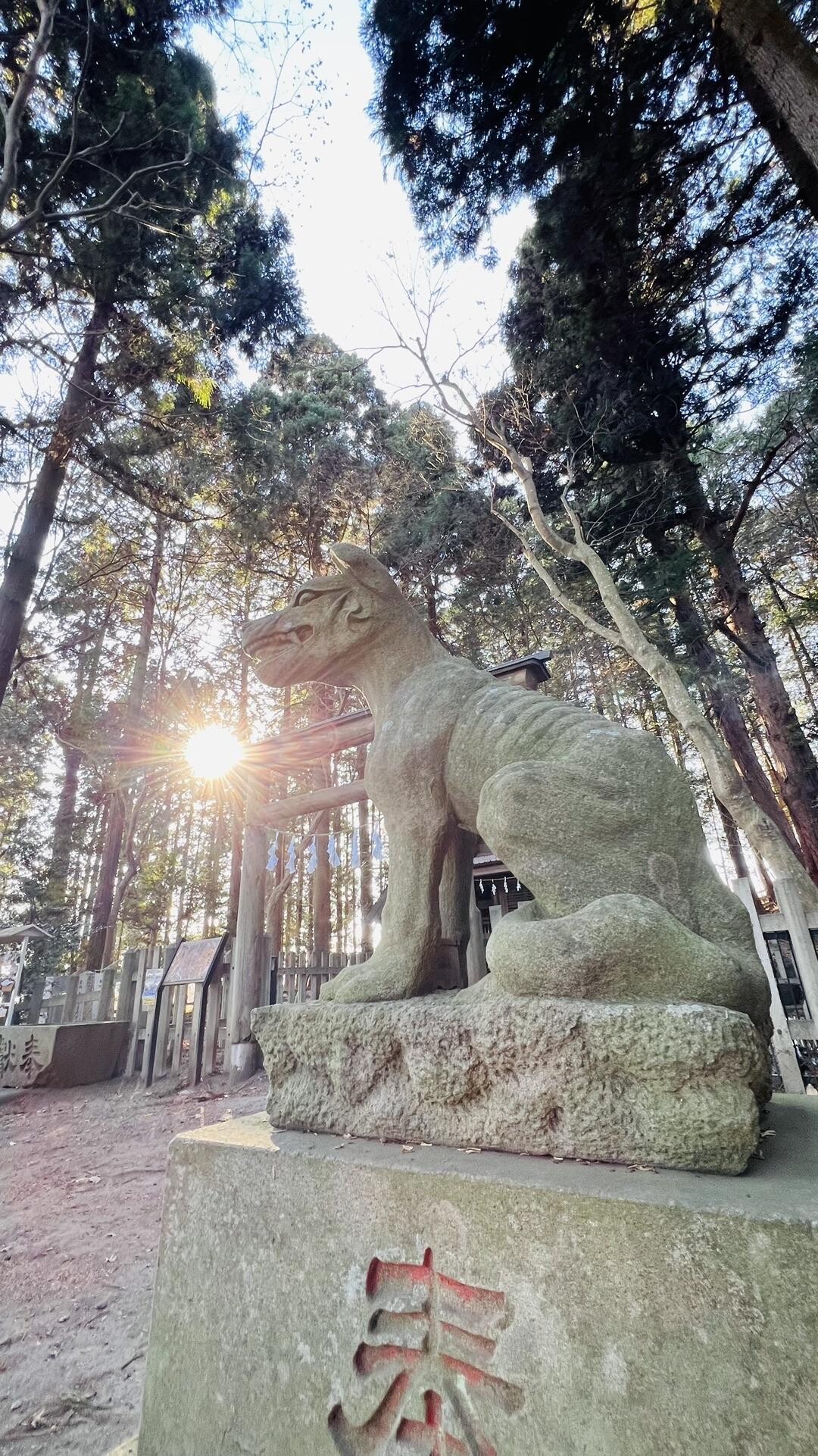 2023.12.24.宝登山／長瀞アルプス / yuumin222.さんの宝登山・長瀞アルプス・不動山・陣見山・鐘撞堂山の活動データ | YAMAP / ヤマップ