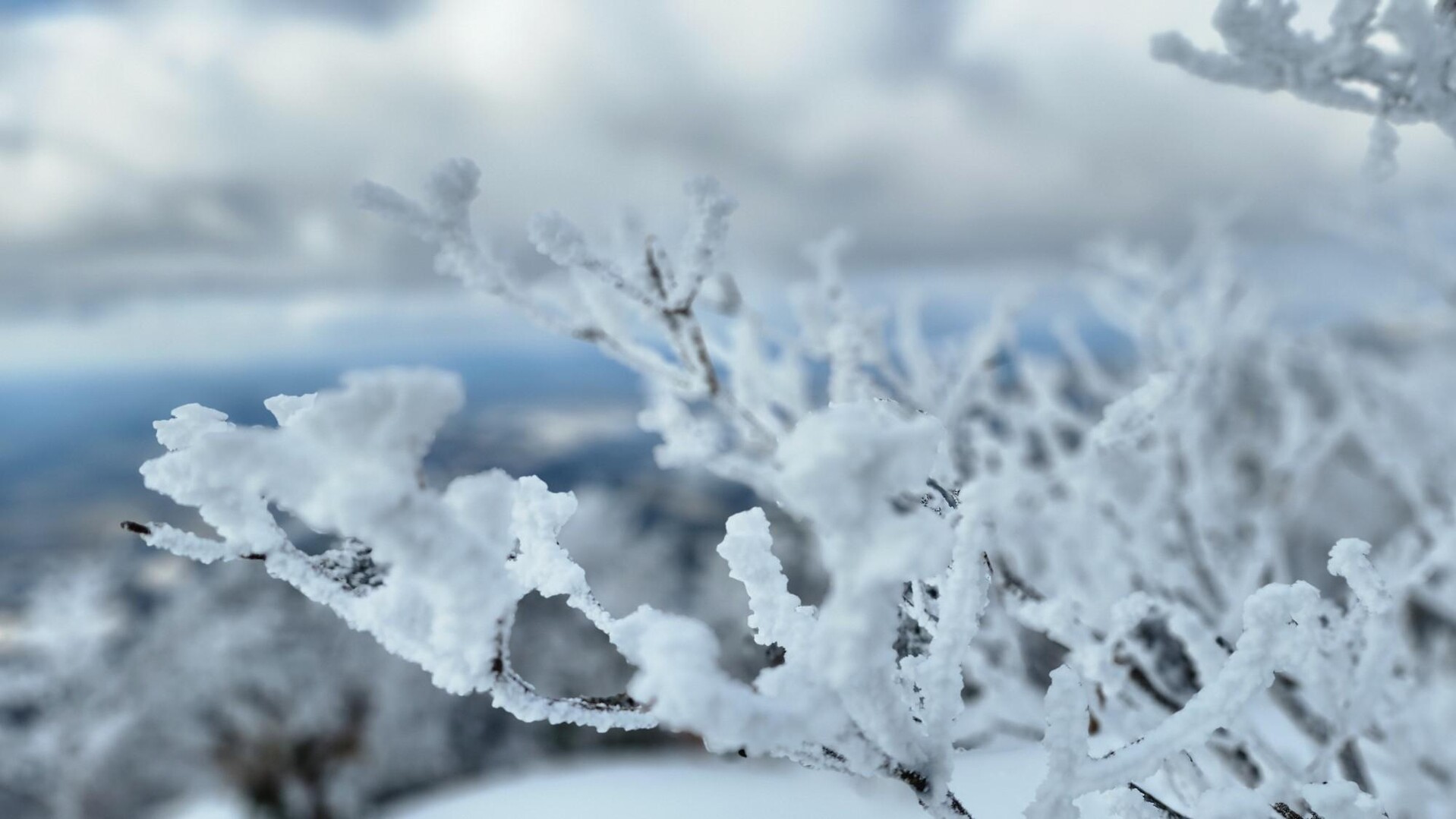 那岐山R5_#2 / ひろしさんの那岐山・滝山・広戸仙の活動データ | YAMAP / ヤマップ