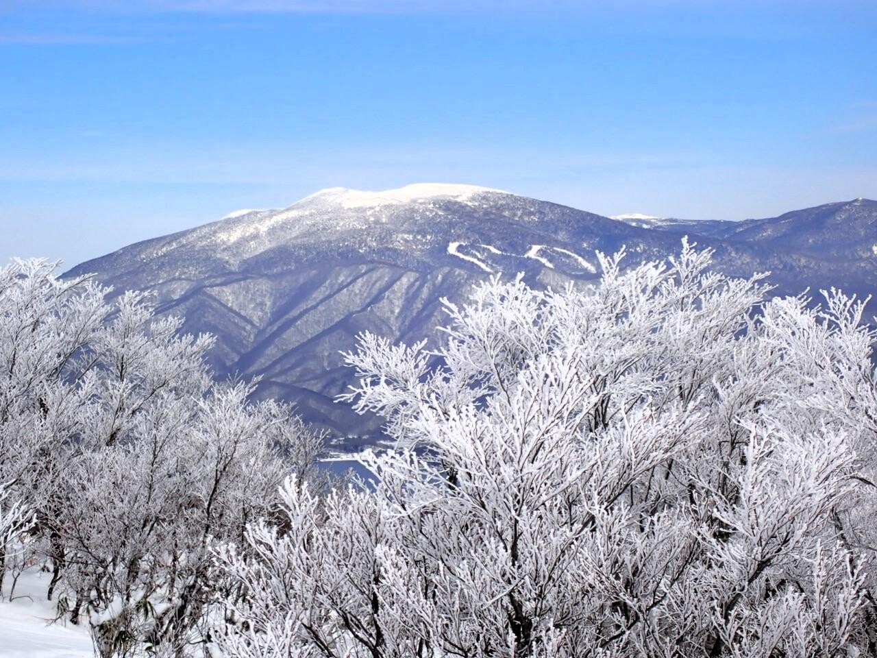 霧氷の雄国山 / hidejさんの磐梯山・雄国山・赤埴山の活動データ | YAMAP / ヤマップ
