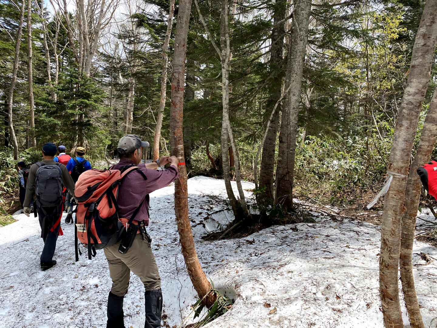 白尾山・皿伏山 / Joe-Rice さんの尾瀬・燧ヶ岳の活動データ | YAMAP / ヤマップ