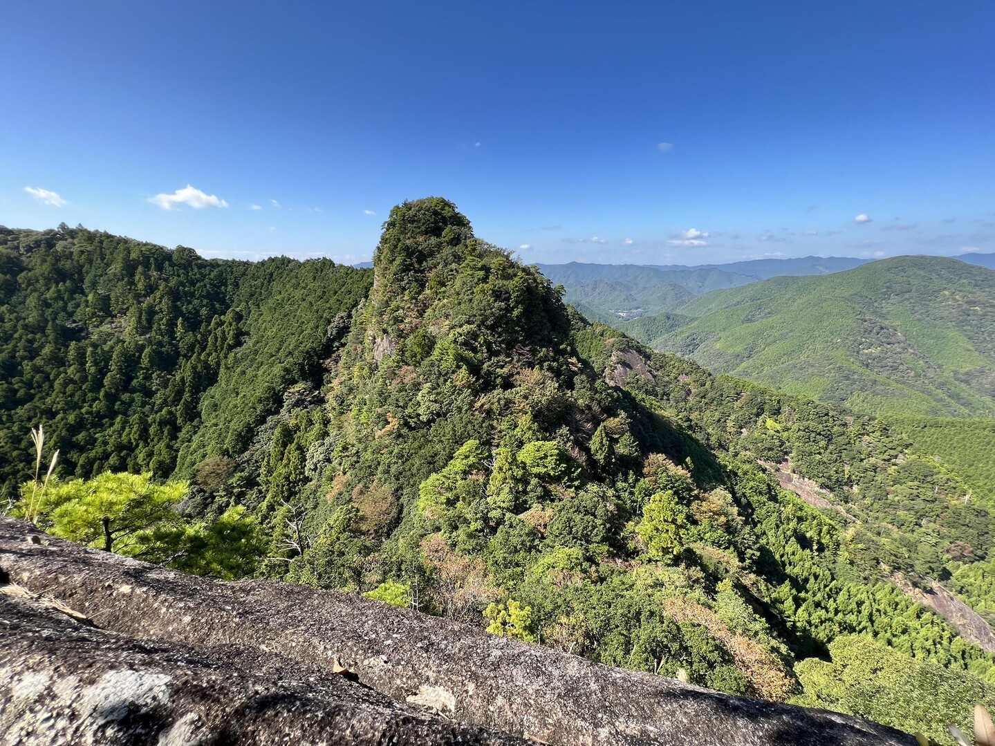 嶽ノ森山 周回コース / sinoさんさんの嶽の森（嶽ノ森山）・峯ノ山の活動データ | YAMAP / ヤマップ