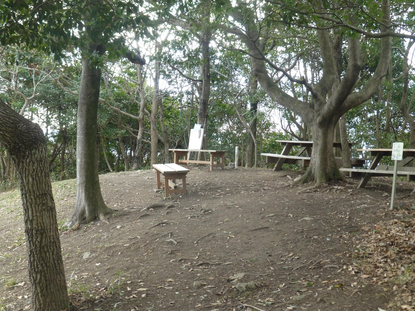 時間が取れたので行くしかないでしょう！大山・金石山 / Ryuさんの関の山の活動データ | YAMAP / ヤマップ