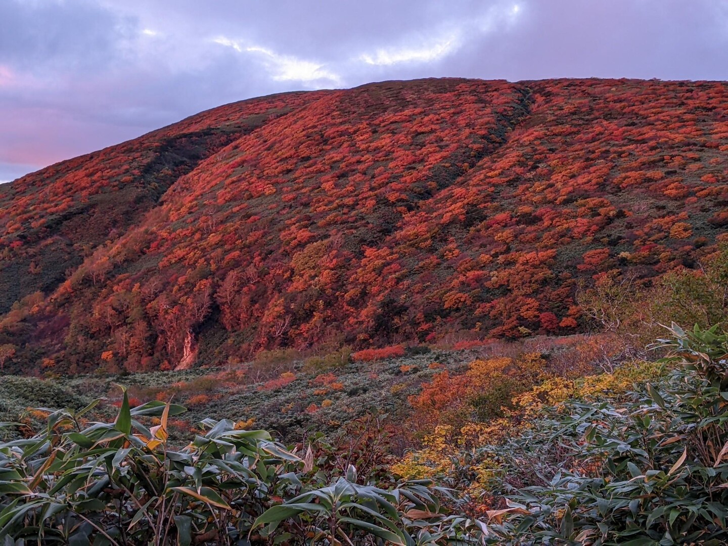 視察を兼ねてドライブ。ちょうど黄昏時で景... / YOLOさんのモーメント | YAMAP / ヤマップ