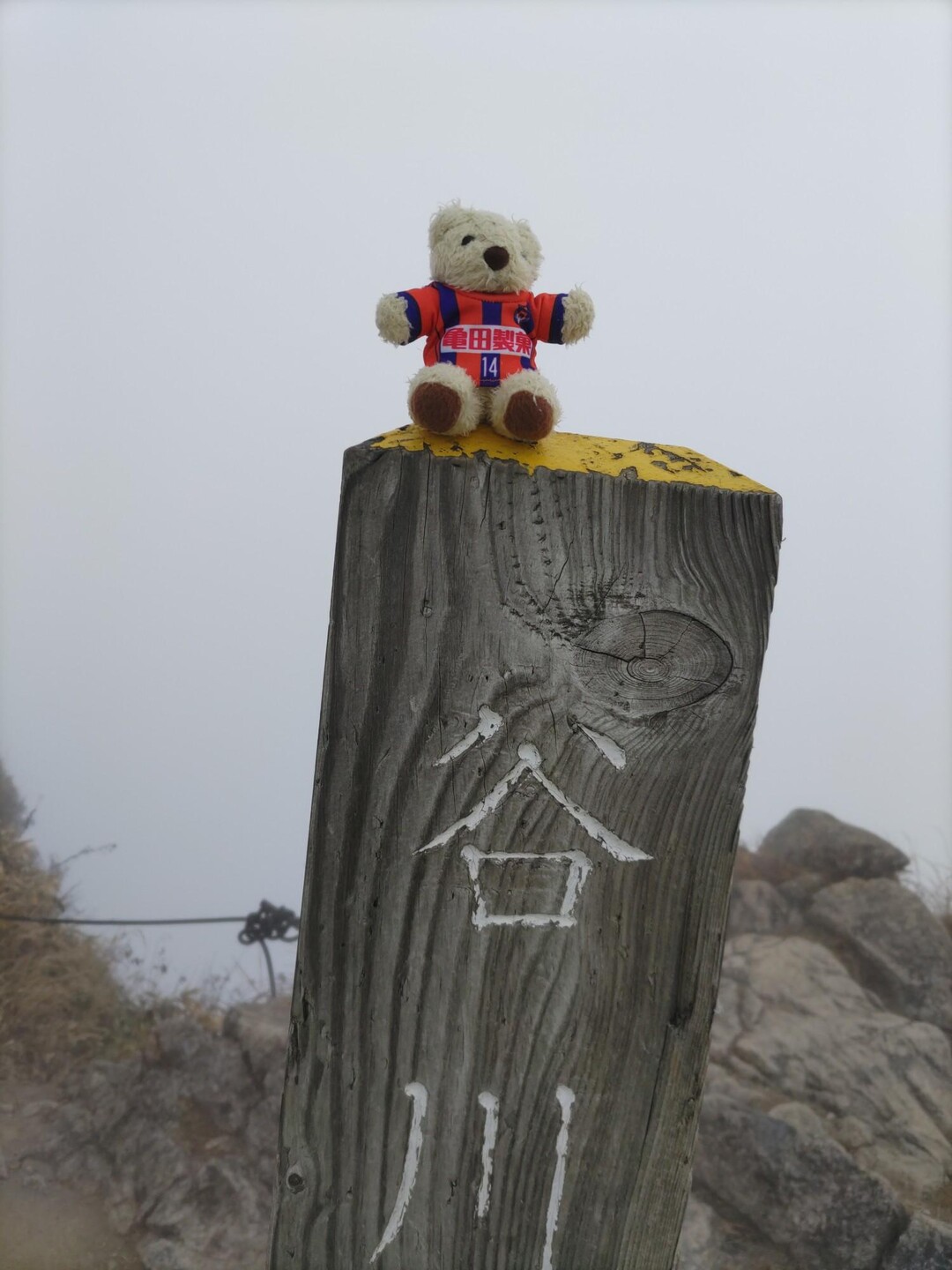 谷川岳（トマの耳）・谷川岳（オキノ耳）西黒尾根〜谷川縦走コース / tamuさんの谷川岳・七ツ小屋山・大源太山の活動データ | YAMAP / ヤマップ