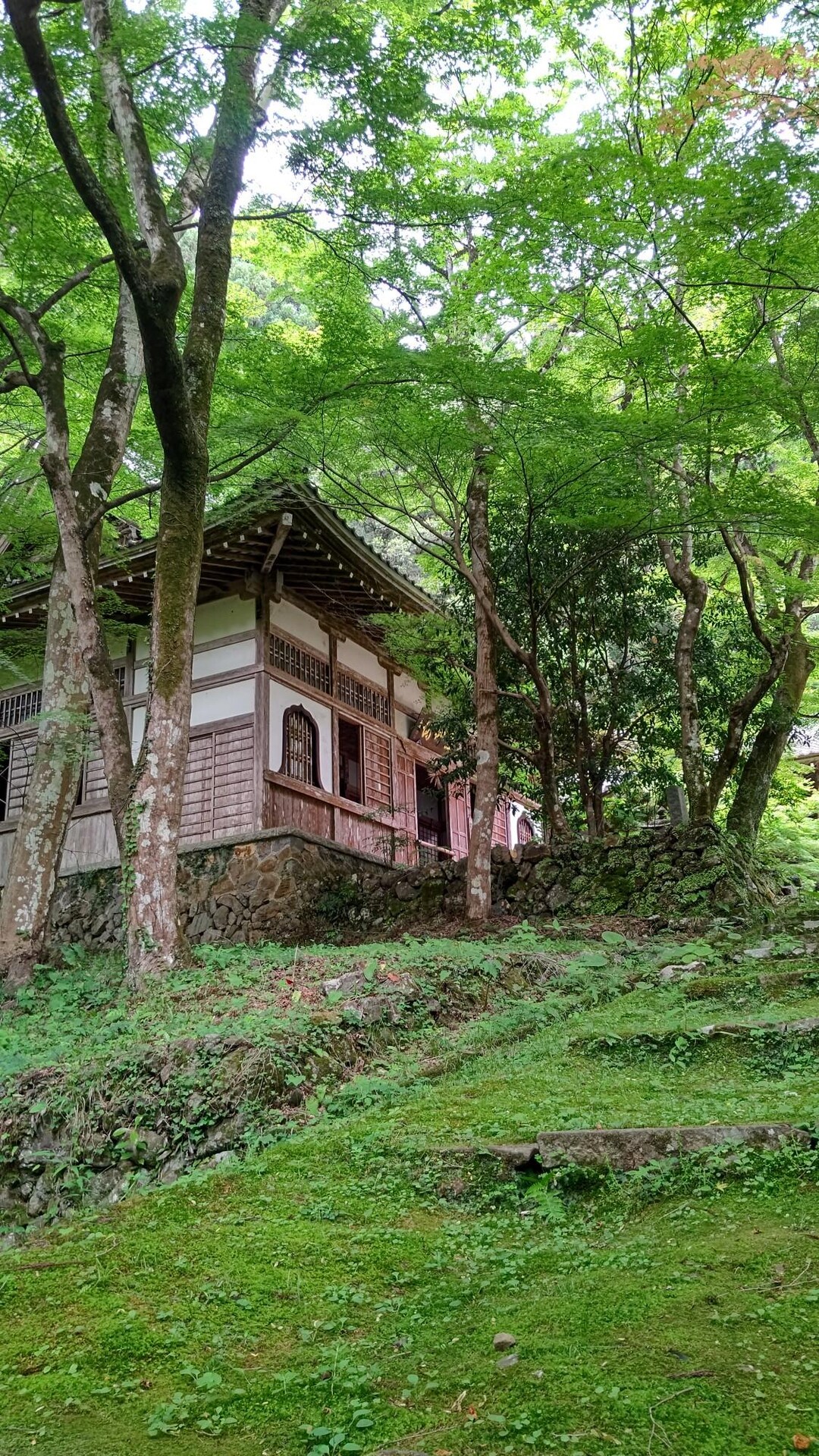 八形山🌿 / 🌊Hide🌊さんの本宮山・高塚山の活動データ | YAMAP / ヤマップ