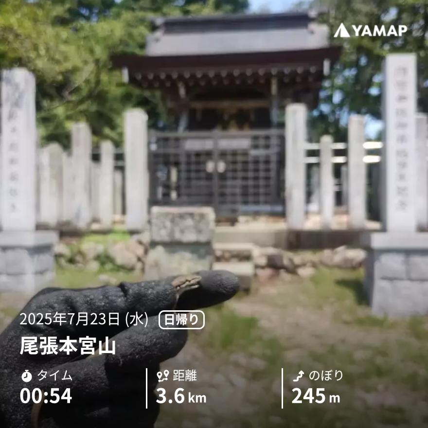 尾張本宮山でカナヘビの記念撮影📸 ht... / 竹野ヤシタケさんのモーメント | YAMAP / ヤマップ