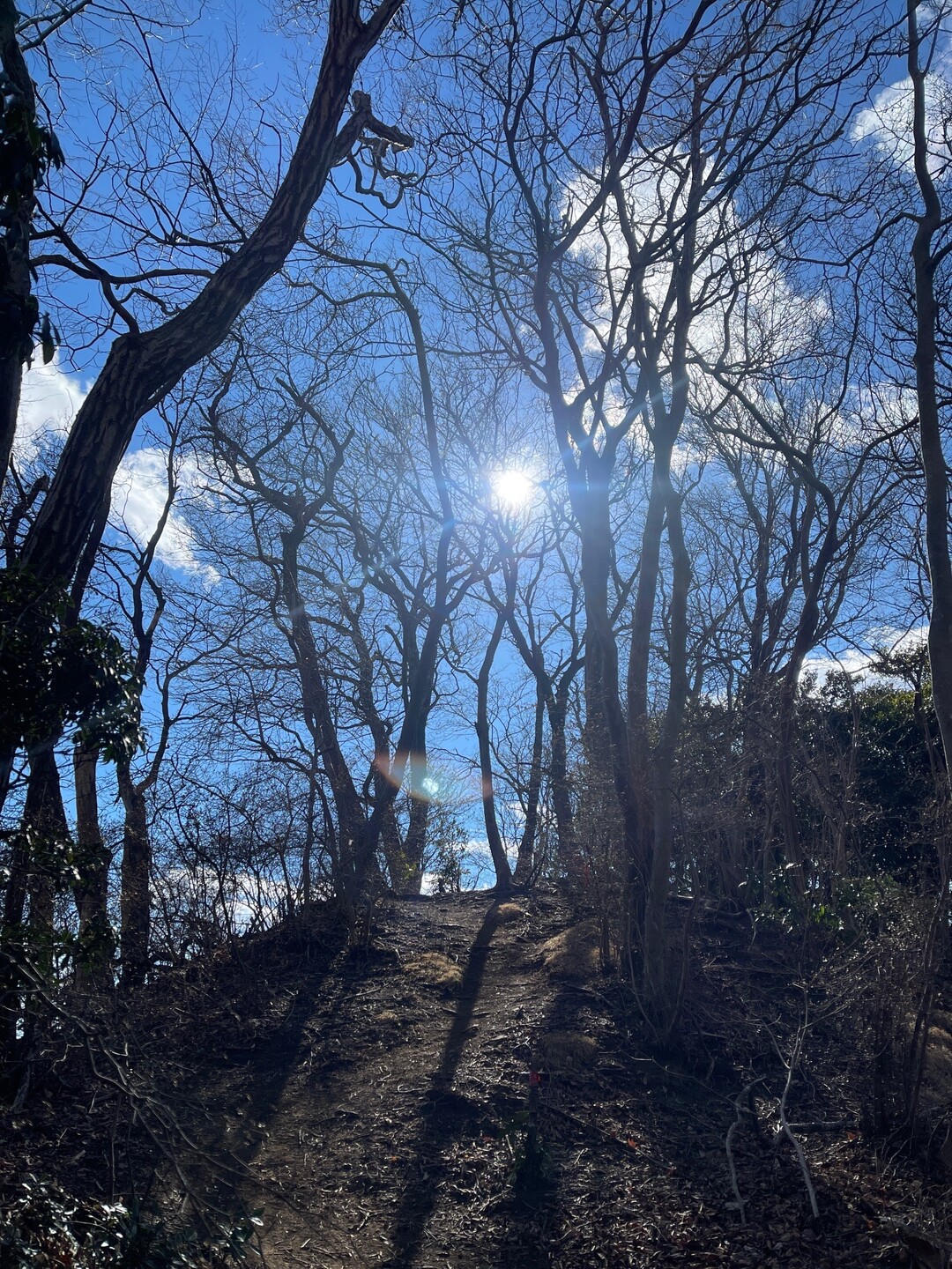 石尊山・金山岳 カモシダ、、、ちがう💦 カモシカに会いたい / kazumaroさんの石尊山の活動データ | YAMAP / ヤマップ