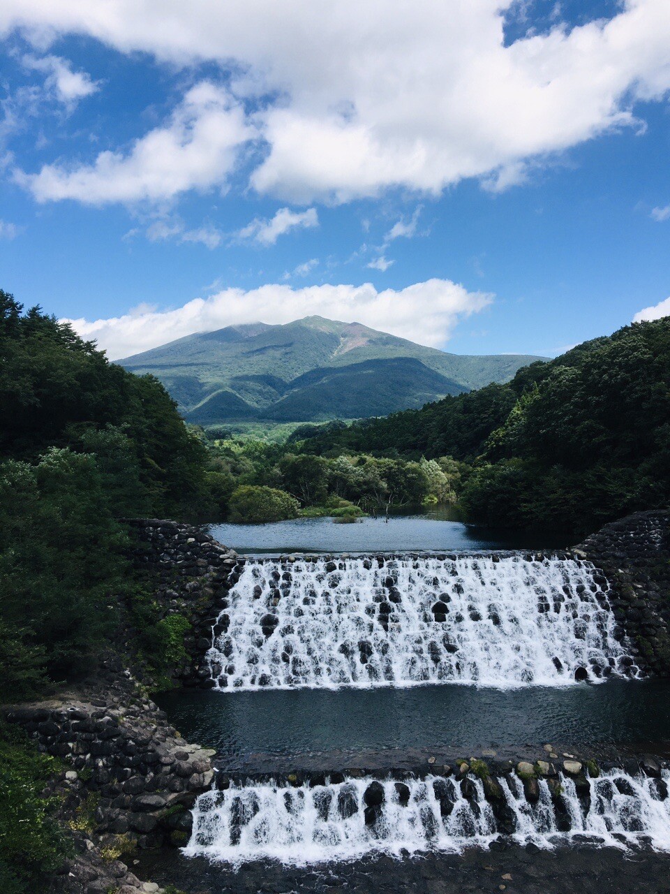 不忘山を見に蛤山⛰ / Muraさんの蛤山の活動データ | YAMAP / ヤマップ