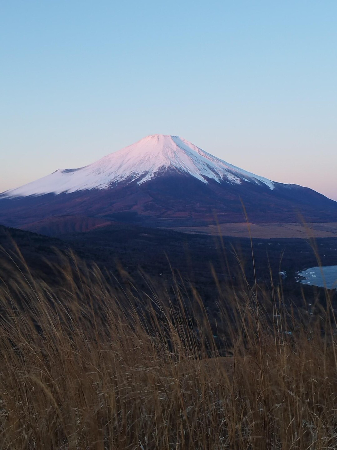 鉄砲木ノ頭(明神山) / horitakaさんの御正体山・杓子山・石割山の活動データ | YAMAP / ヤマップ