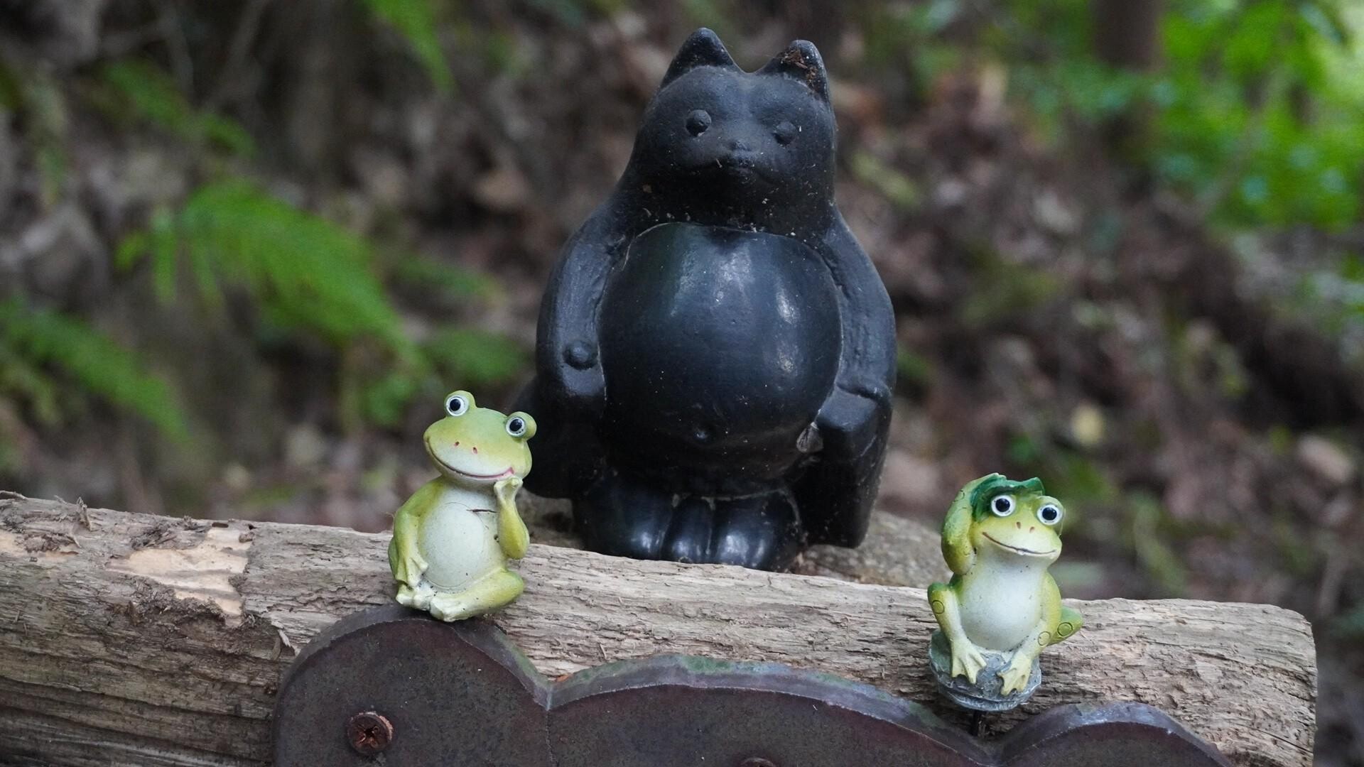 嶽山 朝の山歩 R5-41 / Zatoさんの嶽山・若山・四熊ヶ岳の活動データ | YAMAP / ヤマップ