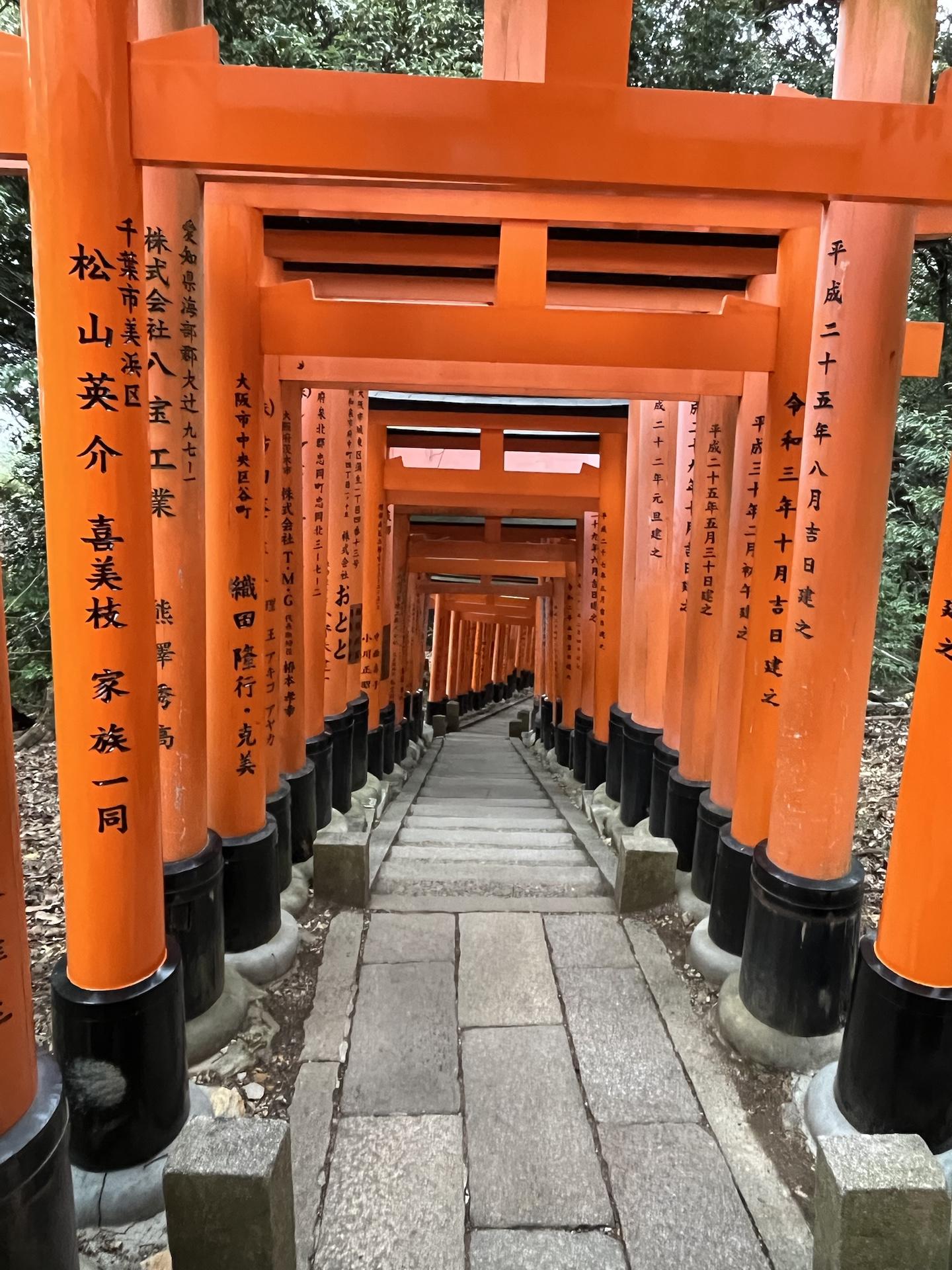 京都① 東寺・伏見稲荷（稲荷山）・東福寺・三十三間堂 / masakingさんの京都市の活動データ | YAMAP / ヤマップ