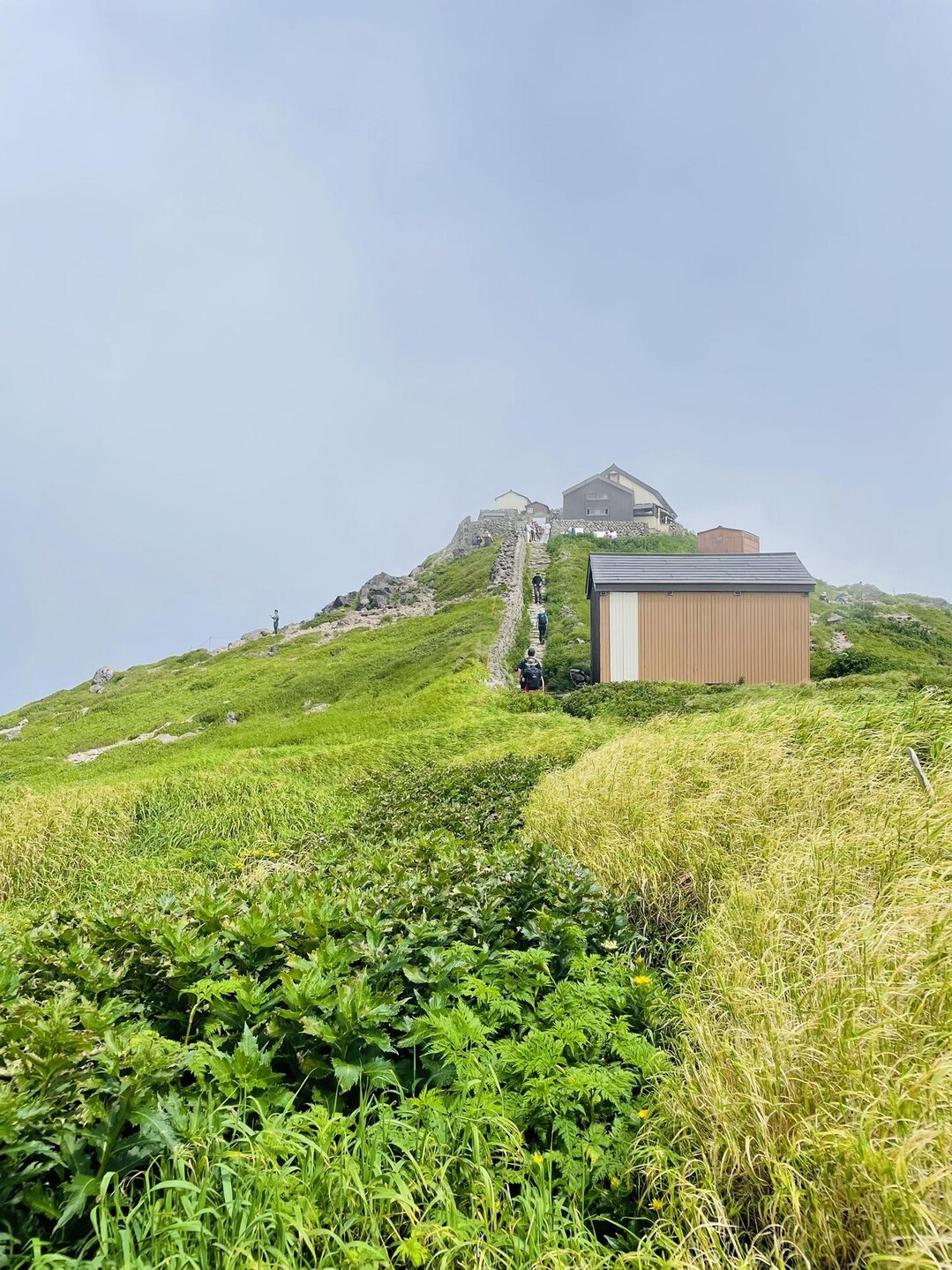 真夏の月山🐰 / cha-shuさんの月山の活動データ | YAMAP / ヤマップ