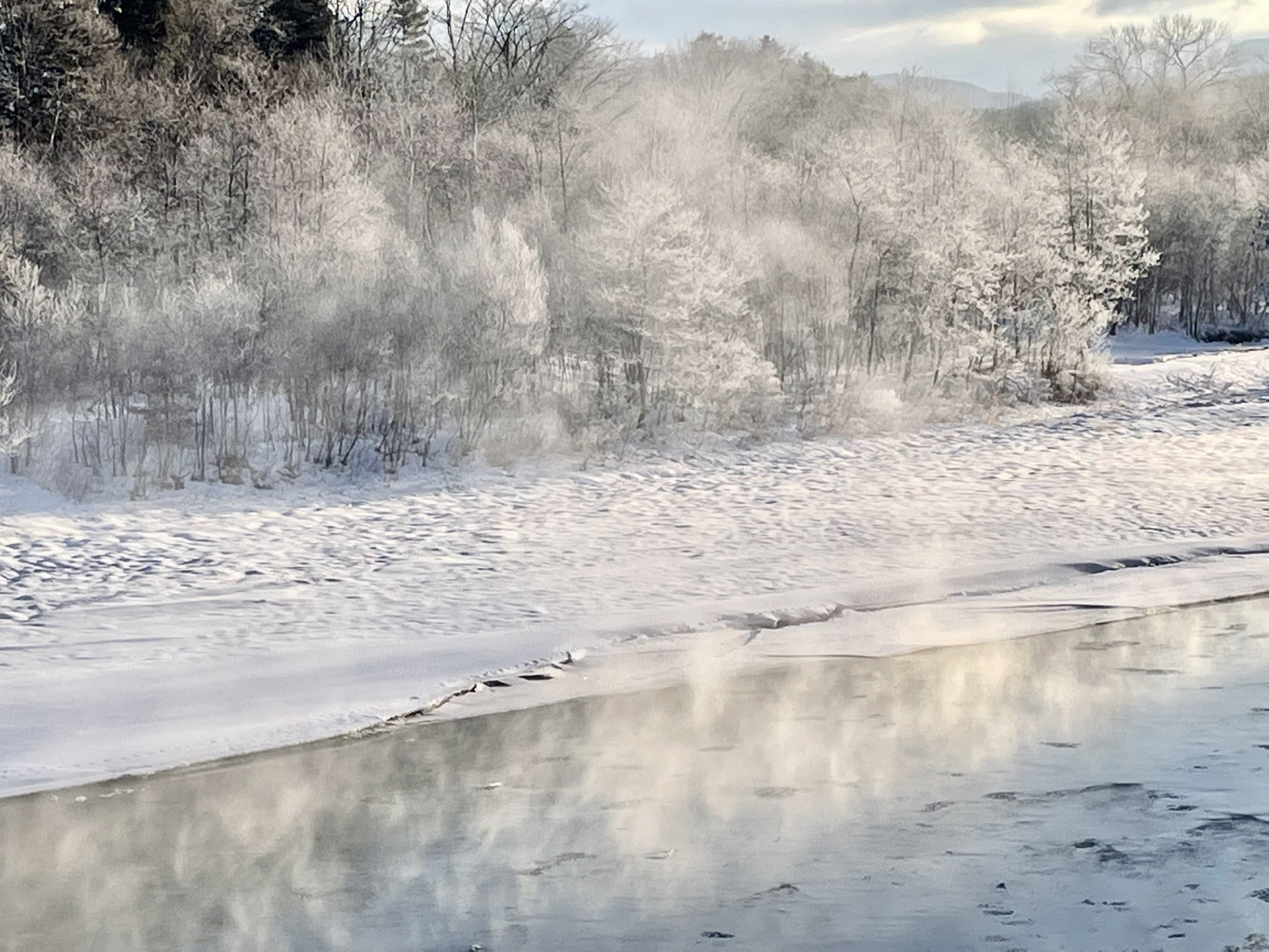 今朝はマイナス20℃でした😅 沙流川か... / TETSUさんのモーメント | YAMAP / ヤマップ