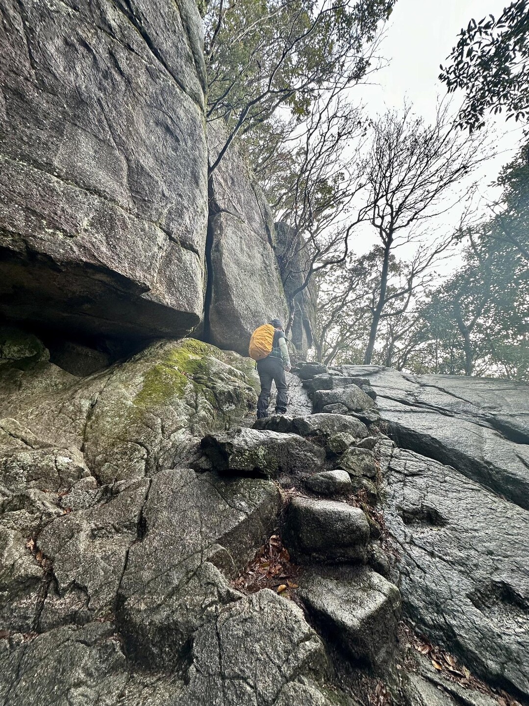 霧雨とBIGカエルの宝満山🐸 / スノームーンさんの宝満山・三郡山・若杉山の活動データ | YAMAP / ヤマップ
