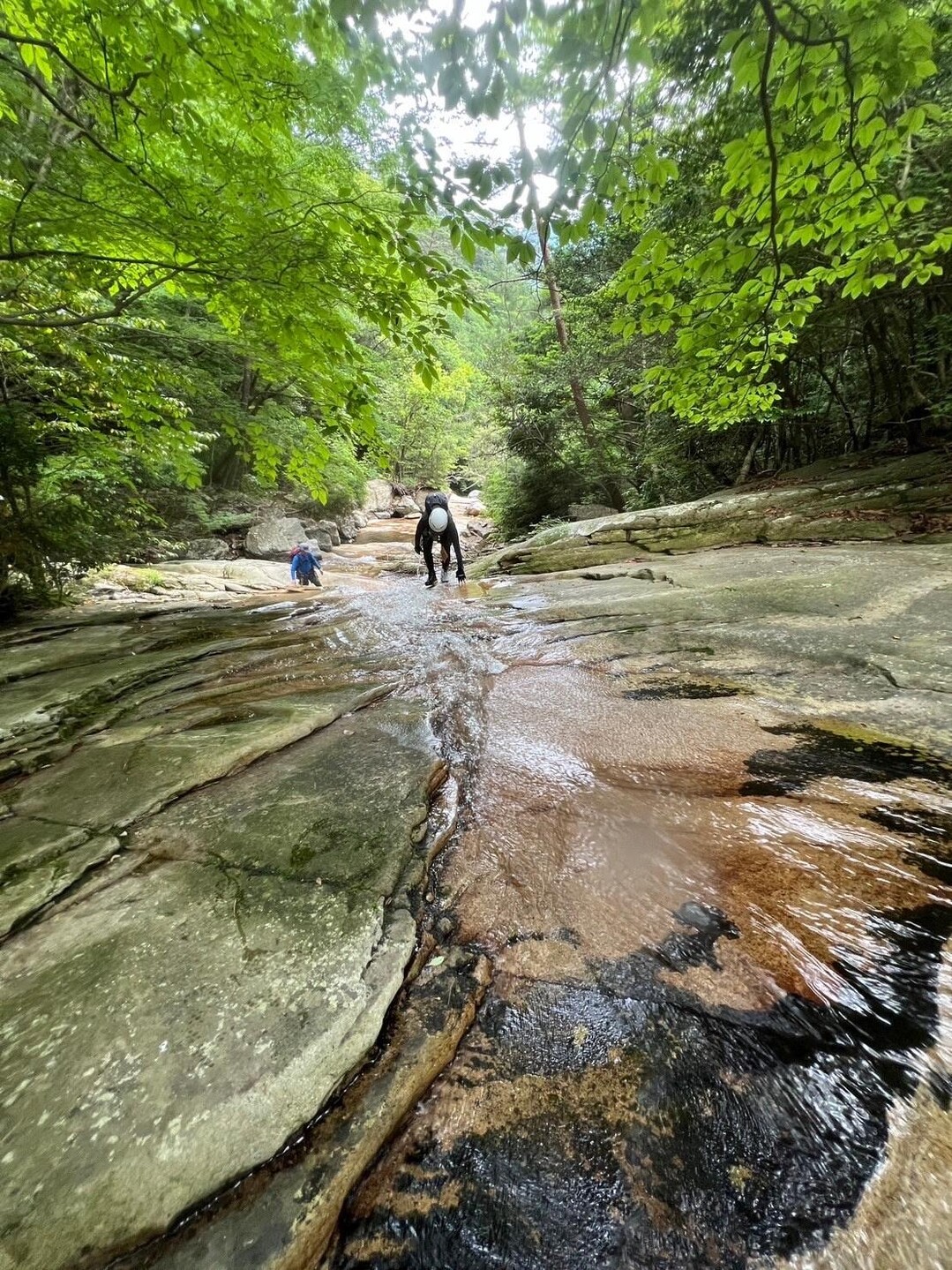 祖母山系のサマン谷で沢登り🏞️ / KEIさんの祖母山の活動データ | YAMAP / ヤマップ