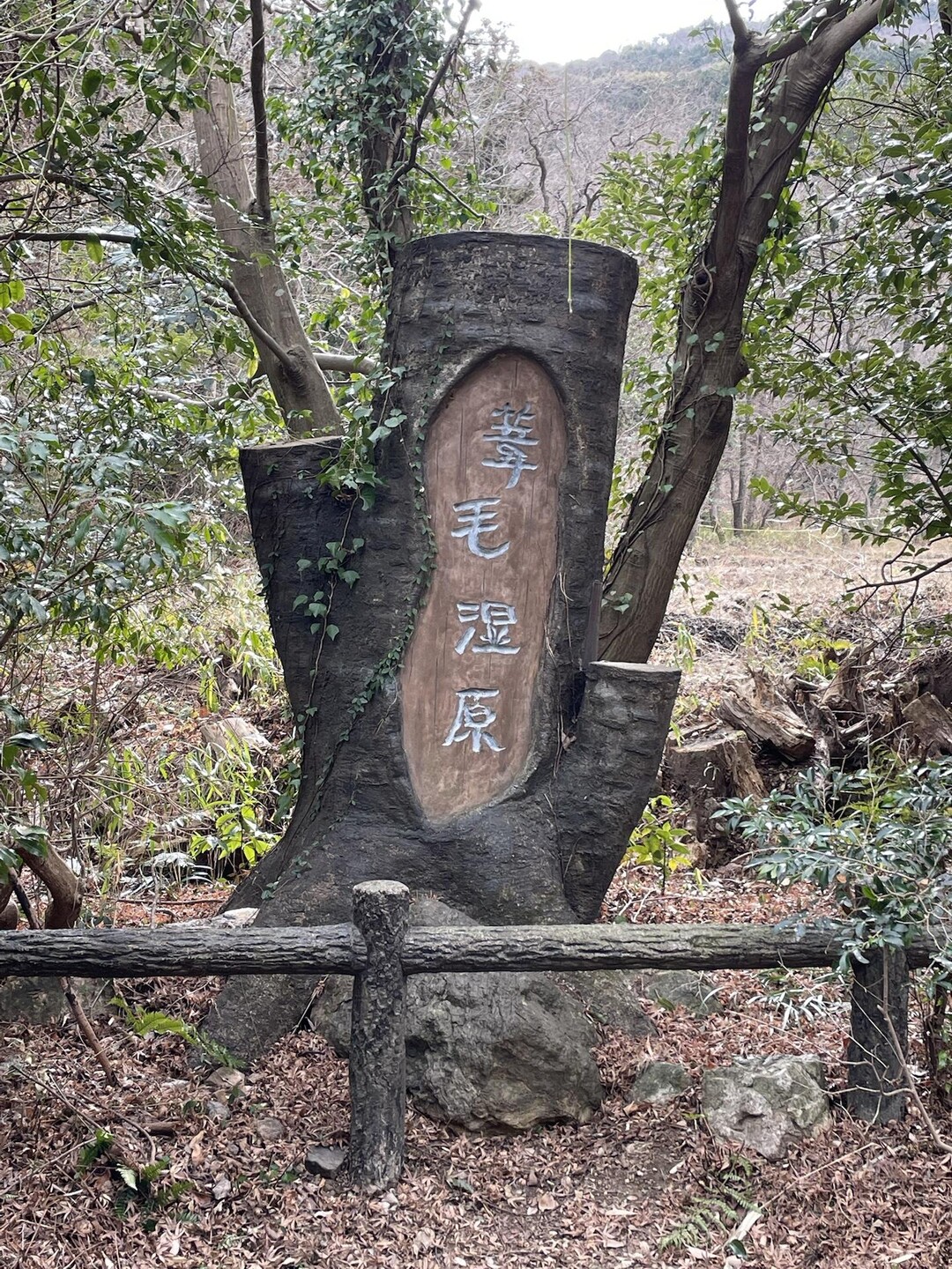 神石山 何処に行く？所々未踏の道を歩いてみた / mattさんの坊ヶ峰・石巻山・神石山・葦毛湿原の活動日記 | YAMAP / ヤマップ