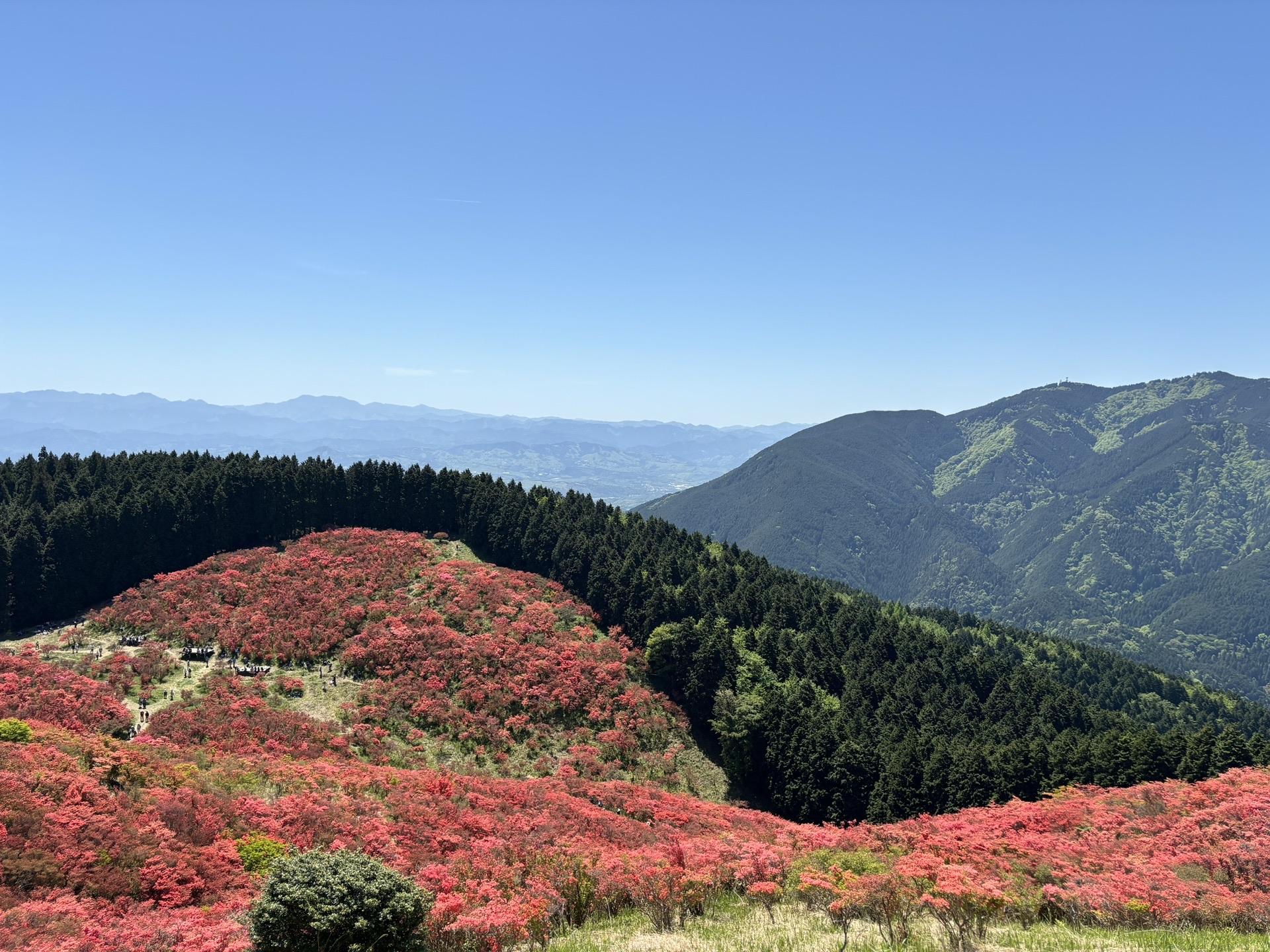 今年も大和葛城山に登ったのに、YAMAP... / KY&Kさんのモーメント | YAMAP / ヤマップ