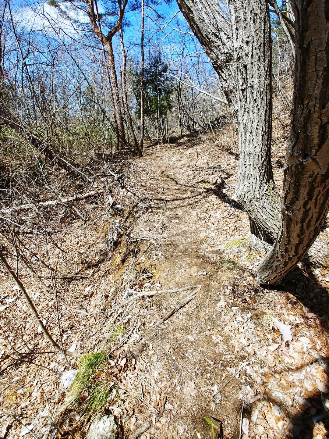 TERITAMAさんの投稿したフィールドメモ | YAMAP / ヤマップ