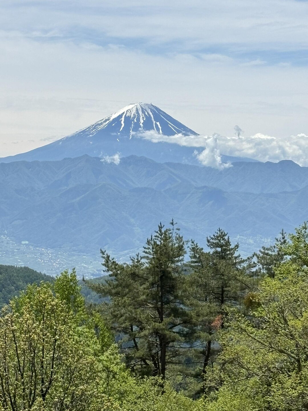 帯那山・見越山 / meshikoさんの帯那山の活動データ | YAMAP / ヤマップ