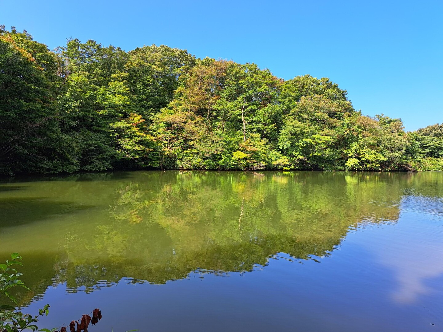 宝達山 / jasmineさんの宝達山の活動データ | YAMAP / ヤマップ