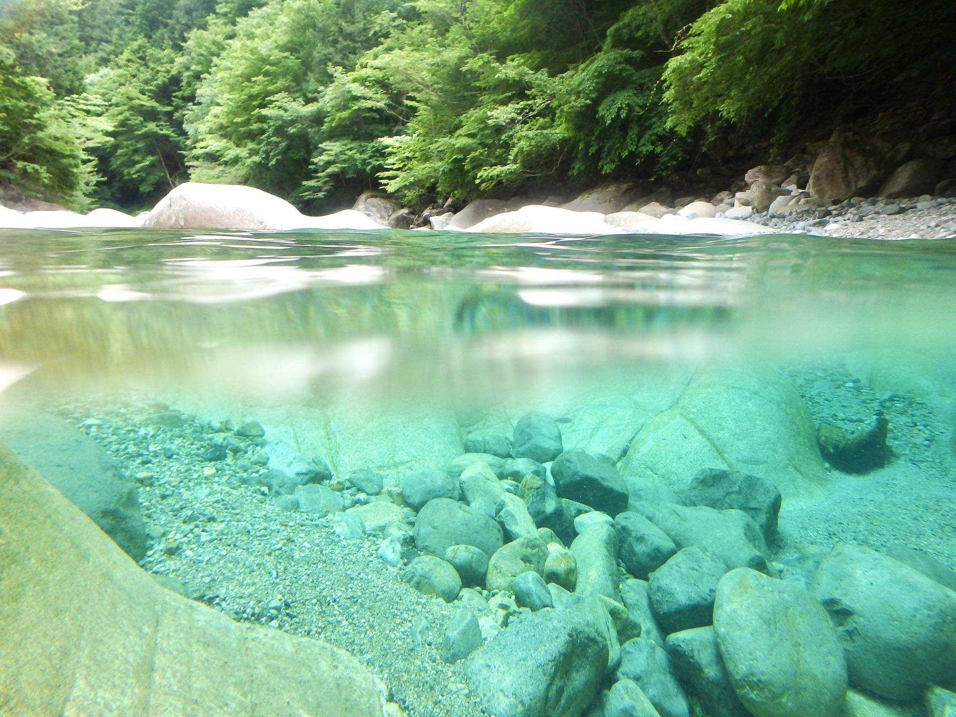 恋路峠 / Lacbleuさんの奥三界岳・夕森山の活動データ | YAMAP / ヤマップ
