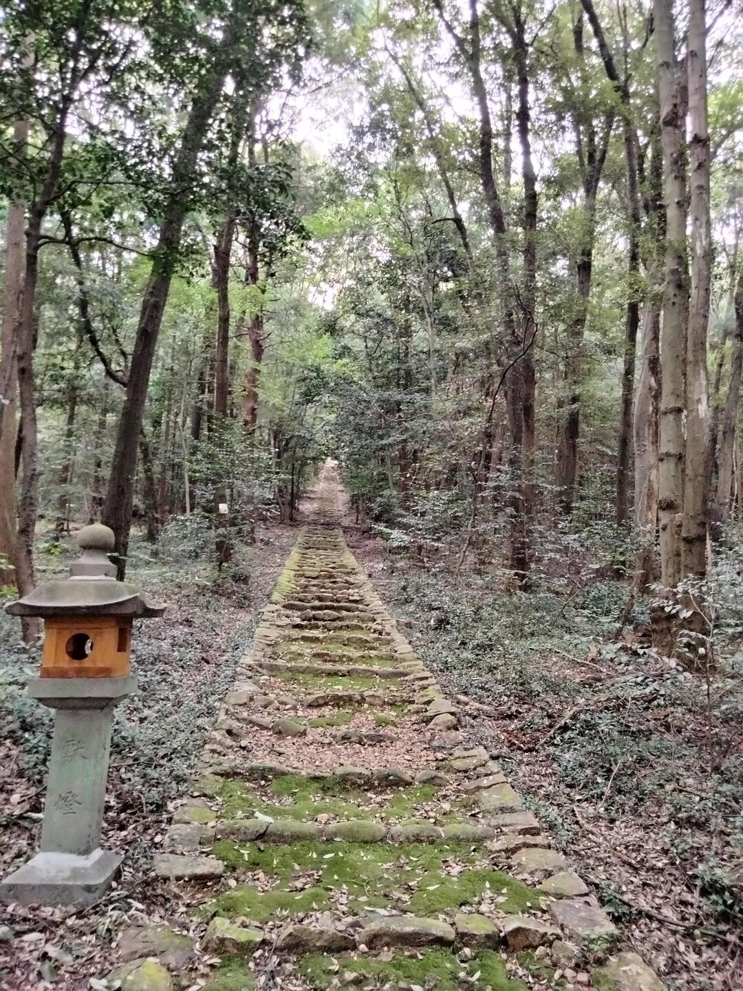 鷺山・清水山 / KUMIKOさんの金華山・洞山・舟伏山の活動データ | YAMAP / ヤマップ