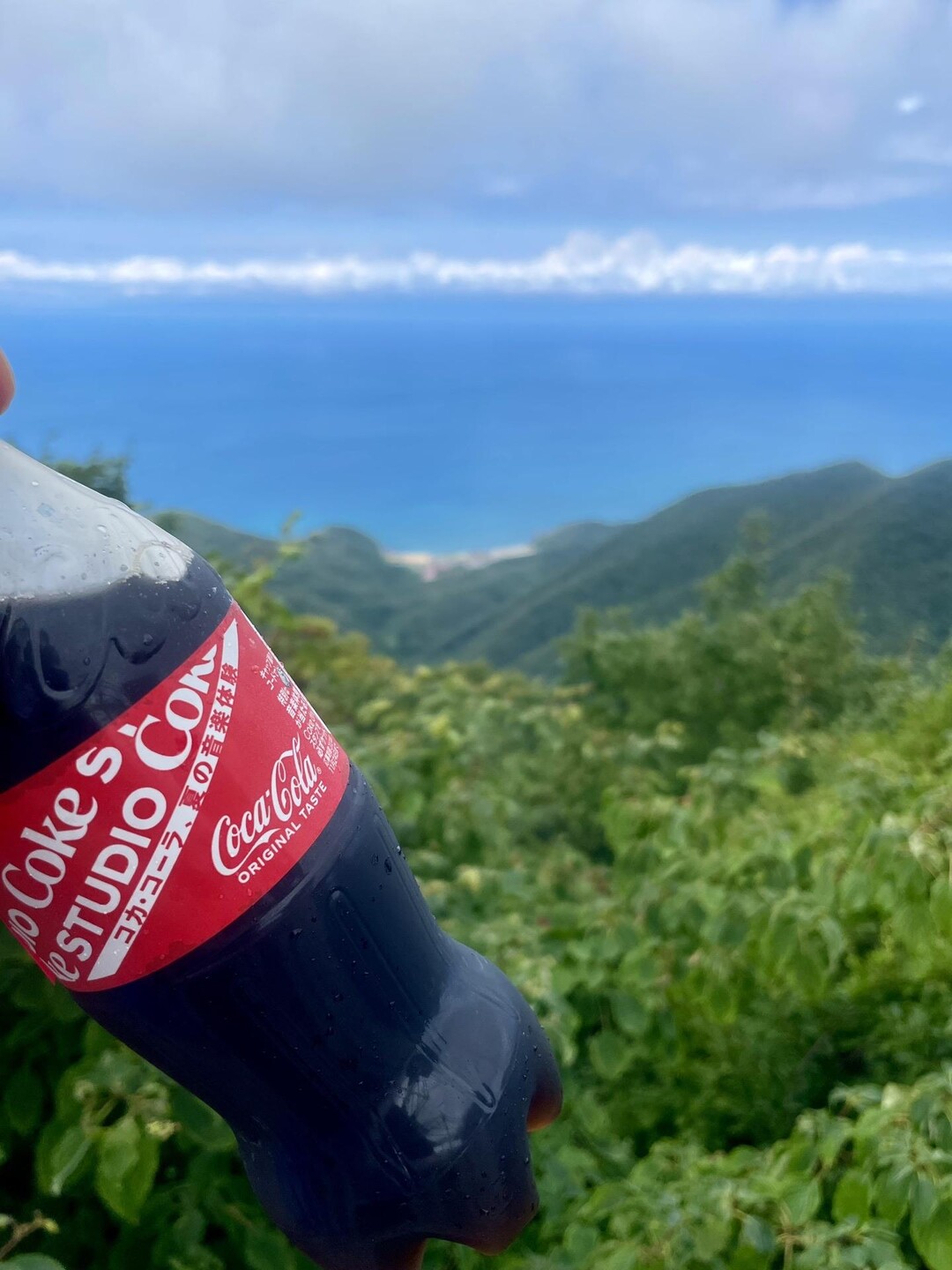 多宝山・弥彦山 / tkhsh.ktさんの弥彦山・多宝山・雨乞山の活動データ | YAMAP / ヤマップ