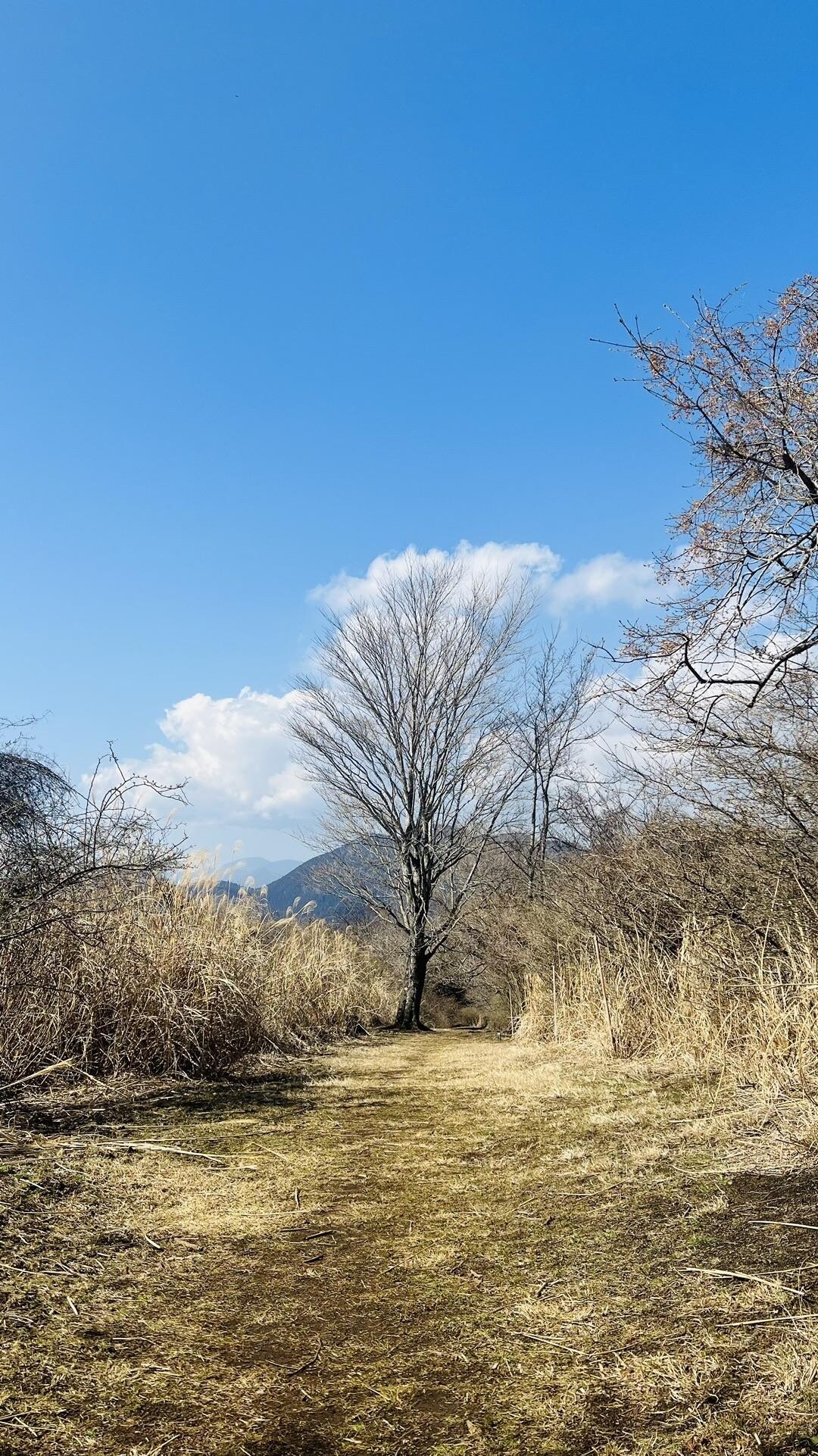 松田山 / yama__tabiさんの高松山・大野山の活動データ | YAMAP / ヤマップ