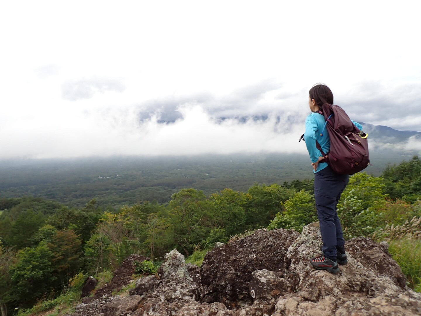 飯盛山 / chamokichiさんの飯盛山の活動データ | YAMAP / ヤマップ
