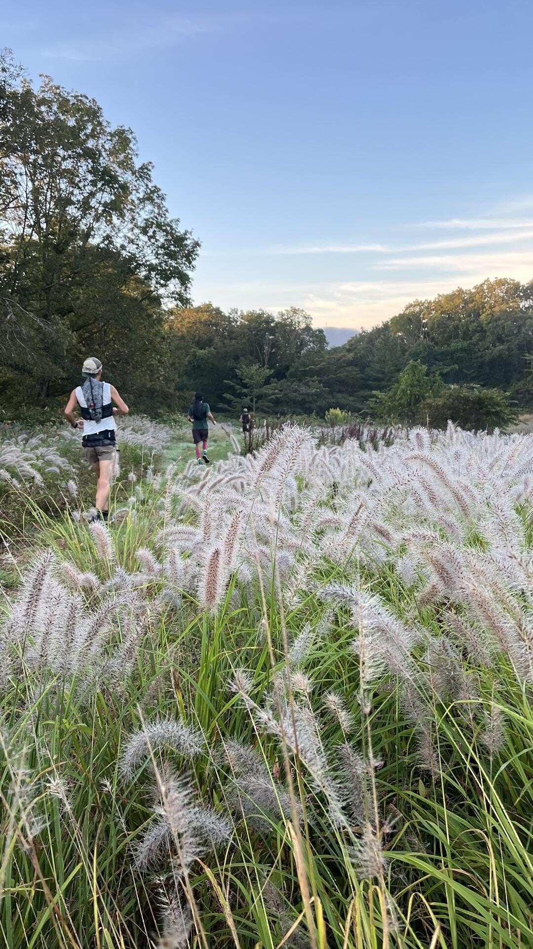 FORESTRAIL2024ロング / ujinaさんの毛無山の活動データ | YAMAP / ヤマップ