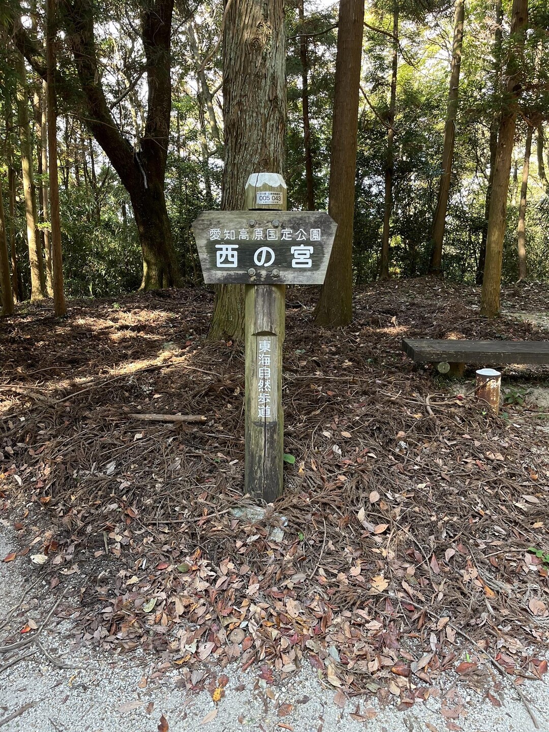 猿投山 / Markさんの猿投山・物見山の活動データ | YAMAP / ヤマップ