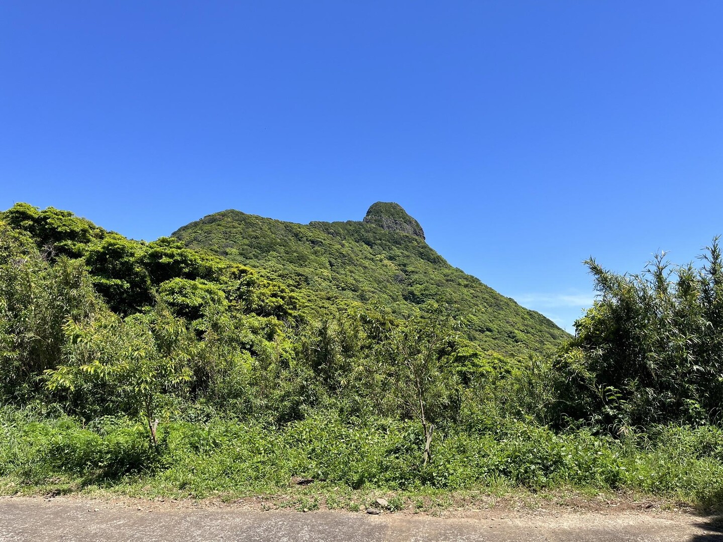 平戸島（志々伎山）-2024-05-18 / Ma-buさんの志々伎山の活動データ | YAMAP / ヤマップ