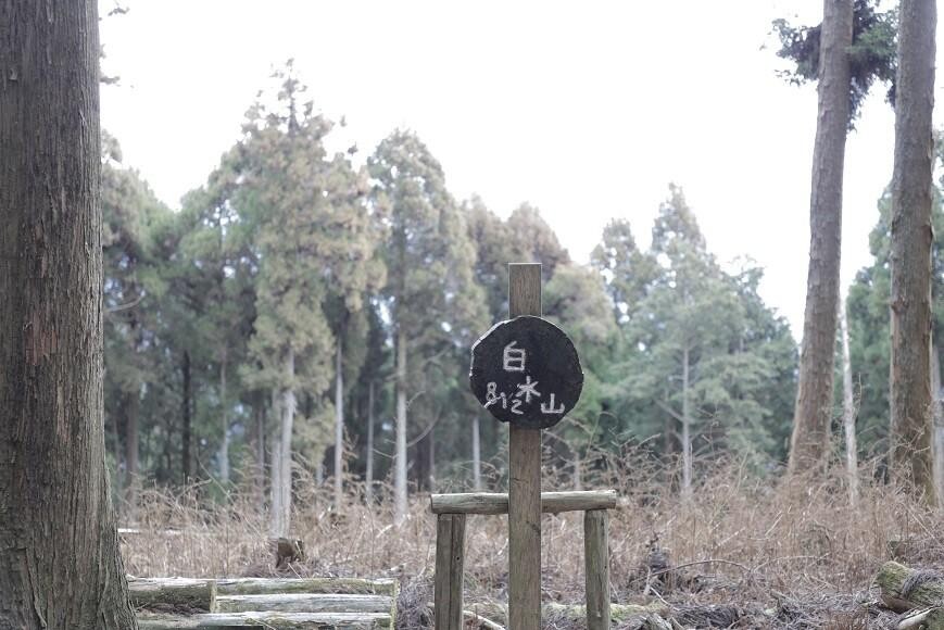 白水山 / n-betaさんの白水山の活動データ | YAMAP / ヤマップ