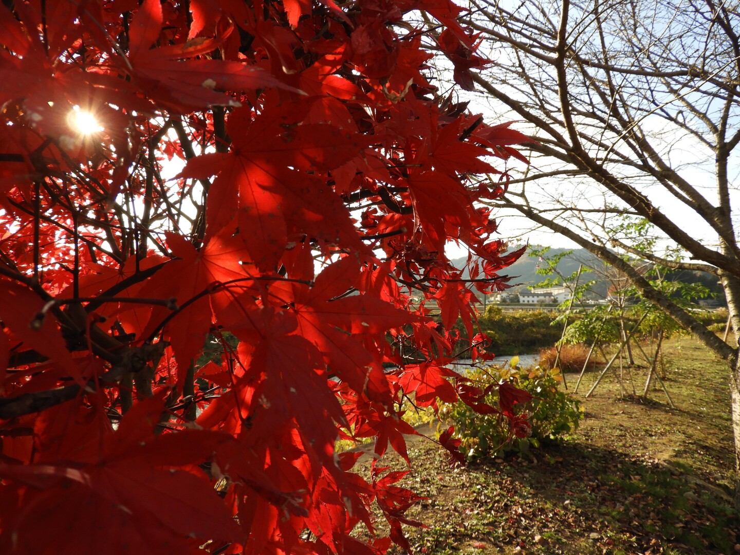 榛名山・男山・本山・飯盛山・高舘山・黒戸山・兜山・鬼山・毘沙門山 / かっぱ麺さんの篠井富屋連峰（宇都宮アルプス）の活動データ | YAMAP ...