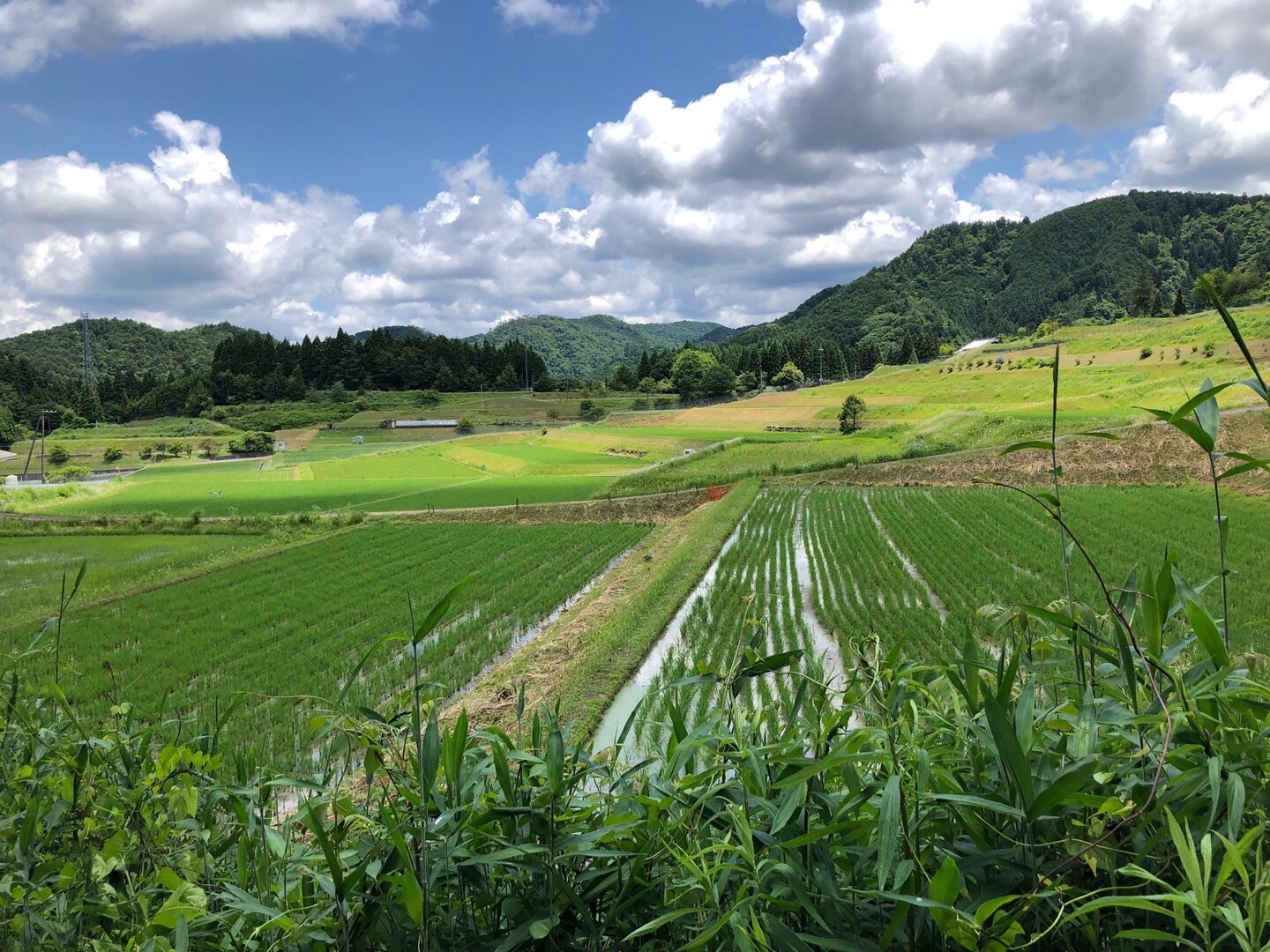 上山 / Zak-Sanさんの長坂山・赤目四十八滝の活動日記 | YAMAP / ヤマップ