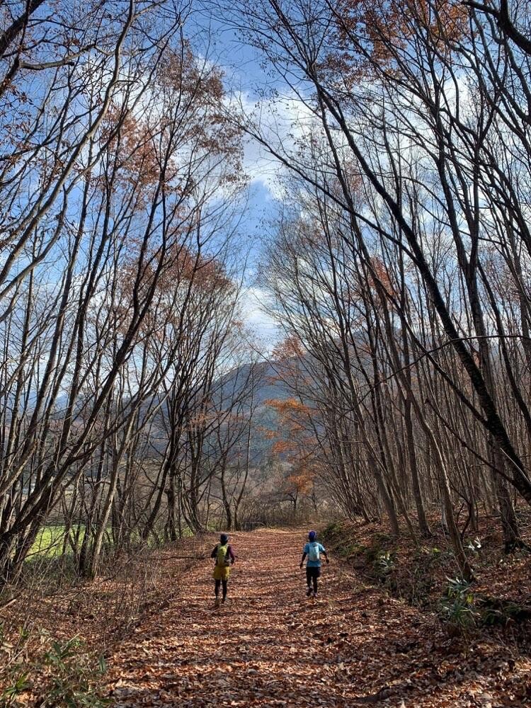 鶯宿→男助山→女助山→鶯宿 / chanmikiさんの男助山・女助山の活動データ | YAMAP / ヤマップ