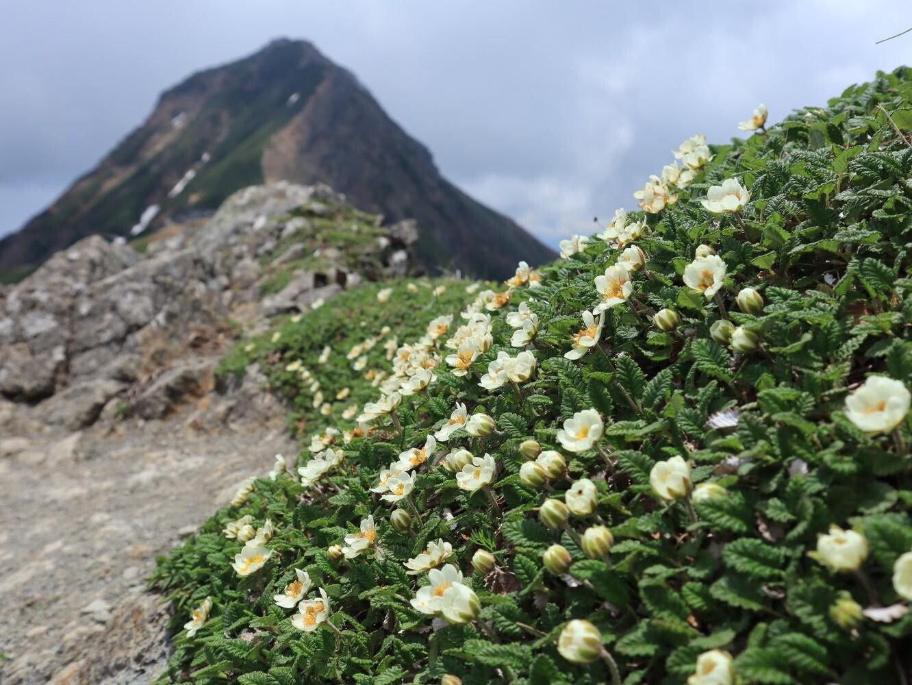 祝YAMAP200座🎊南八ヶ岳周回⛰️ア・バオア・クー攻略 / yama.jetさんの八ヶ岳（赤岳・硫黄岳・天狗岳）の活動データ | YAMAP / ヤマップ