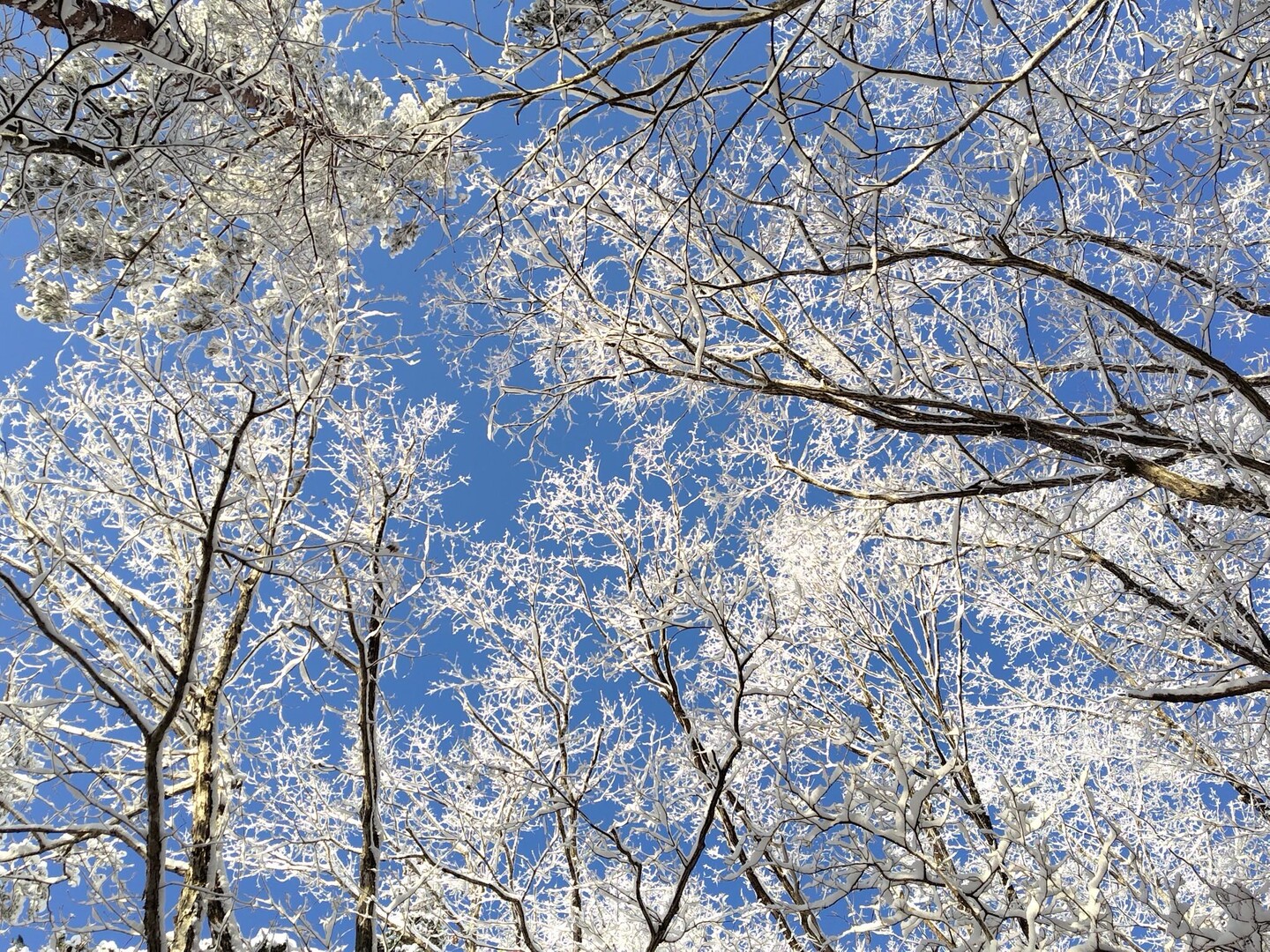 大満足！ / mktさんの松倉山の活動データ | YAMAP / ヤマップ