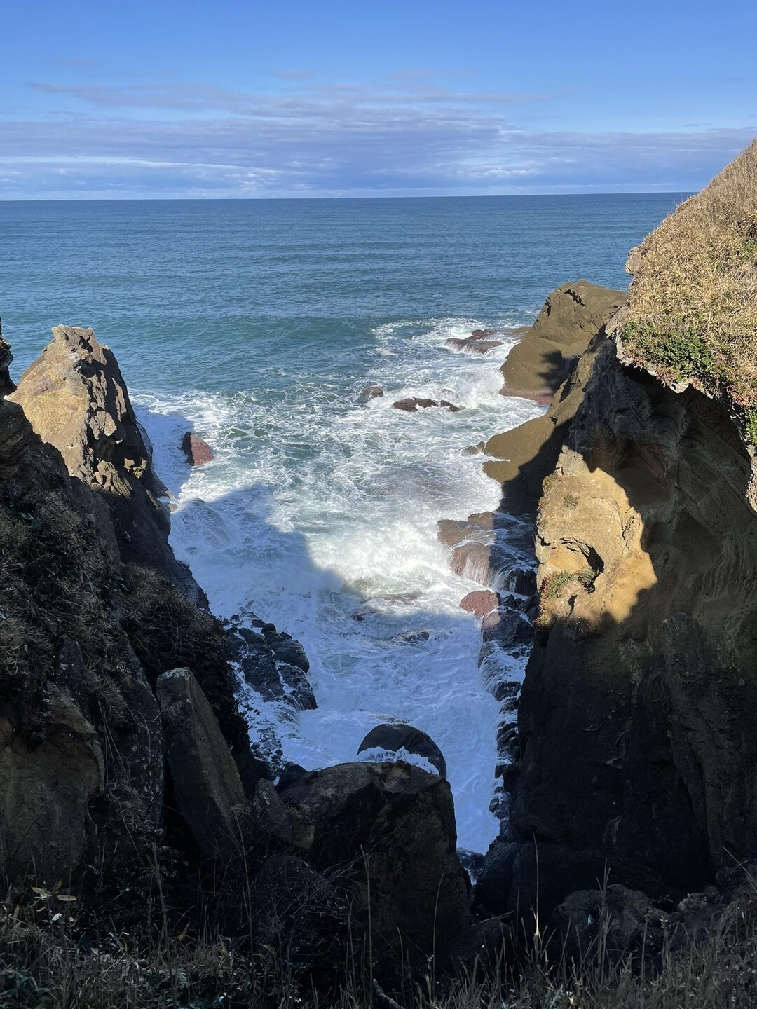 駟馳山 / なべ(ワンゲルOB)さんの二上山の活動データ | YAMAP / ヤマップ