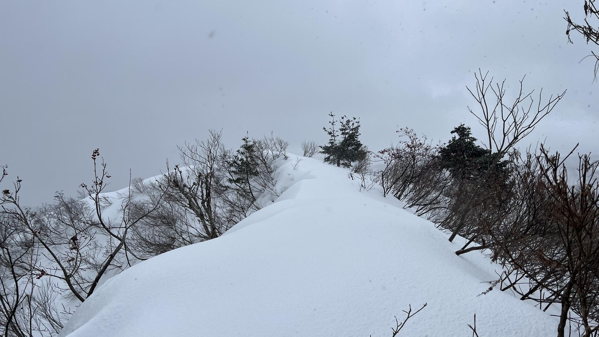 牟礼山 / DE ROSAさんの牟礼山の活動日記 | YAMAP / ヤマップ