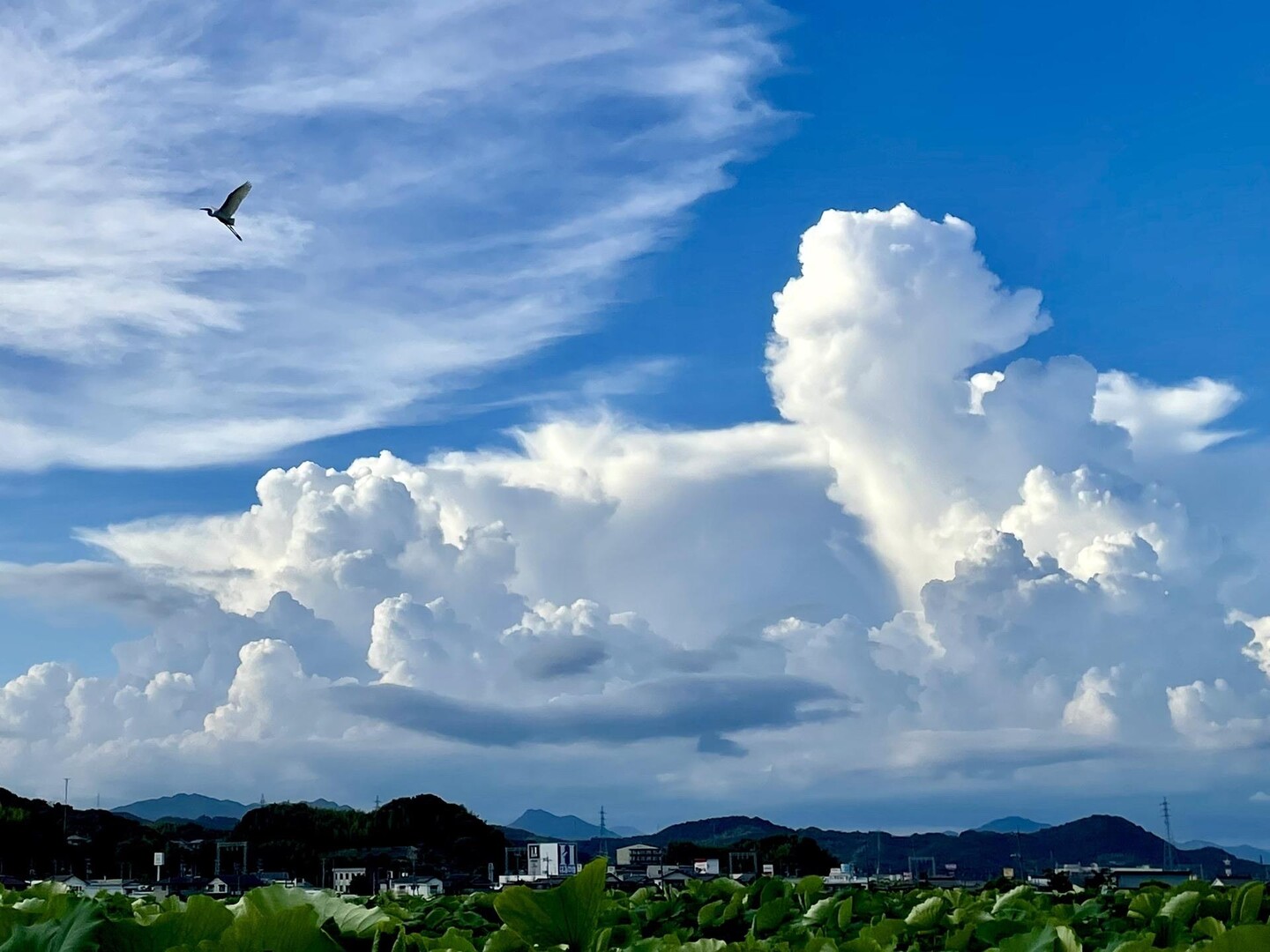 ラピュタのような雲でした🤩 マジで絵画... / GONKEさんのモーメント | YAMAP / ヤマップ