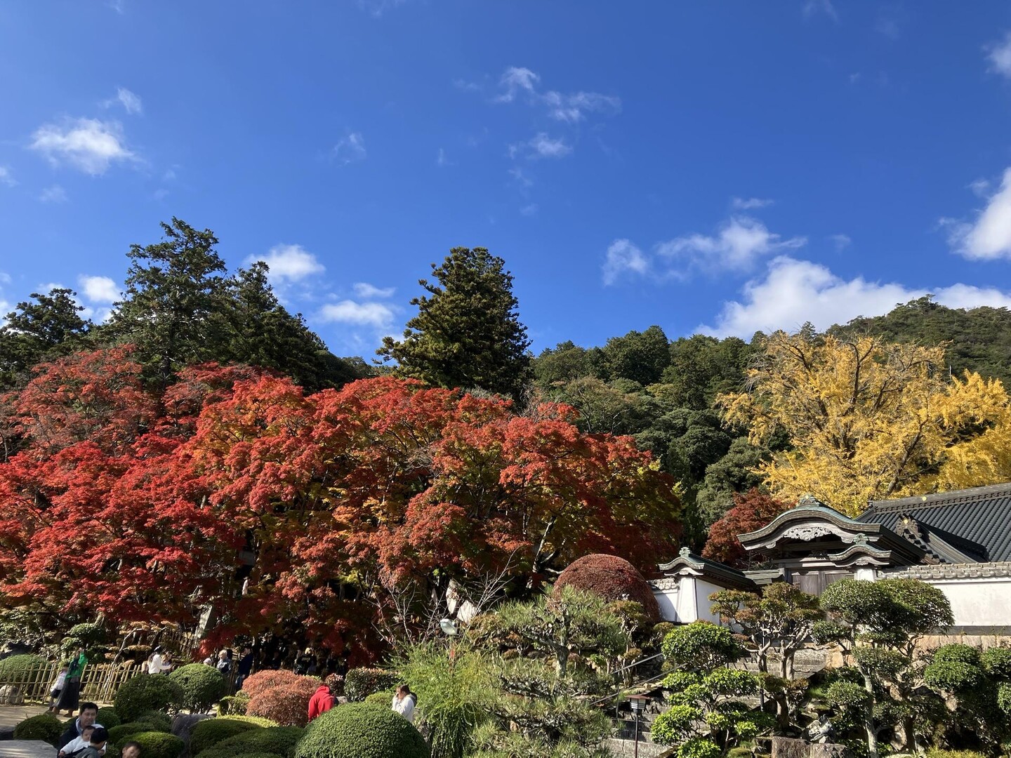 女体山 (長尾）・矢筈山・矢筈山南峰・女体山（石田） / soraさんの矢筈山・女体山の活動データ | YAMAP / ヤマップ