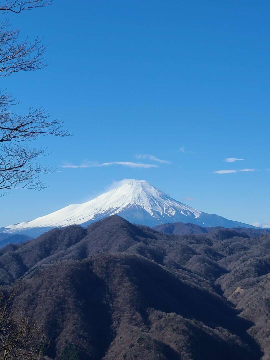 大杉丸・大室山 / bibiさんの塔ノ岳・丹沢山・蛭ヶ岳の活動データ | YAMAP / ヤマップ